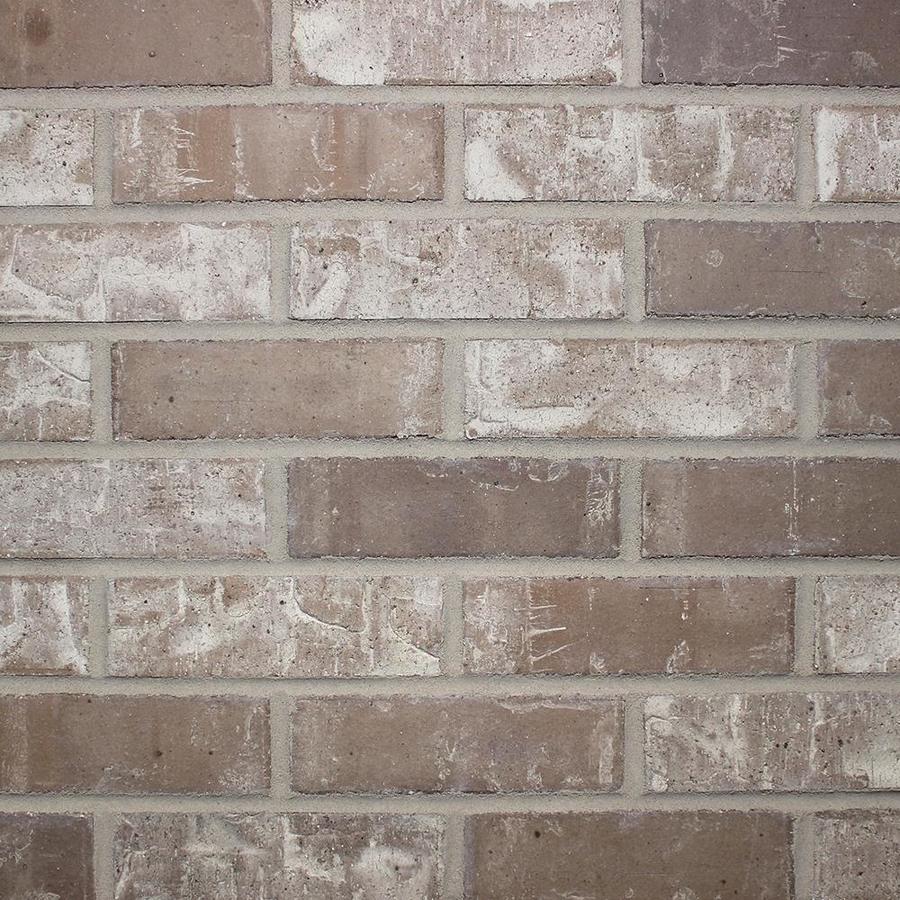 Old Mill Thin Brick Systems Colonial Little Cottonwood 2.25-in x 7.625 ...