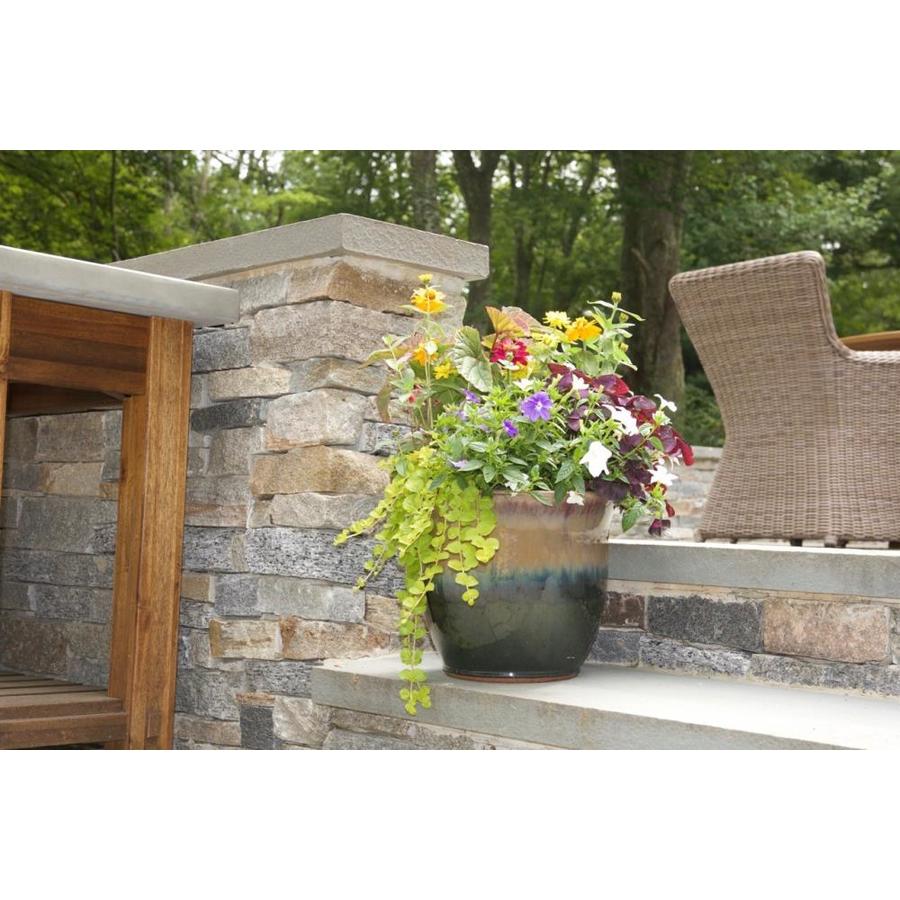 allen + roth 12.6-in W x 12.2-in H Merlot Lake Ceramic Planter in the ...