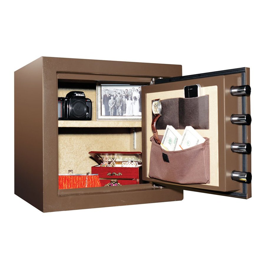 Cannon Safe Home Essentials 6.7-cu ft Electronic Fire Resistant Chest ...