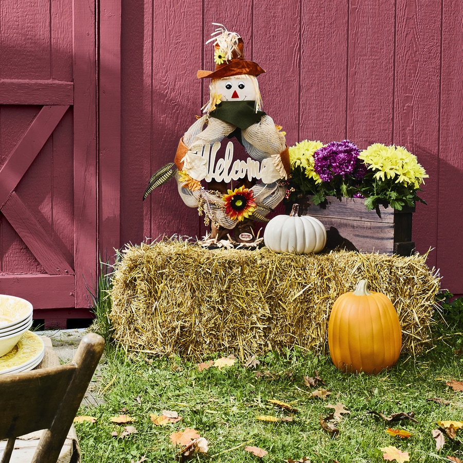 Shop Holiday Living Autumn is Calling Collection at Lowes.com