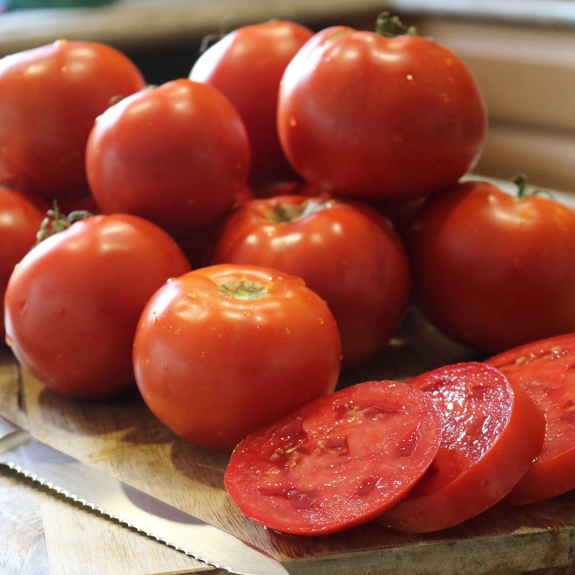 Altman Plants Celebrity Tomato Pot Plant 0873057 at Lowes.com
