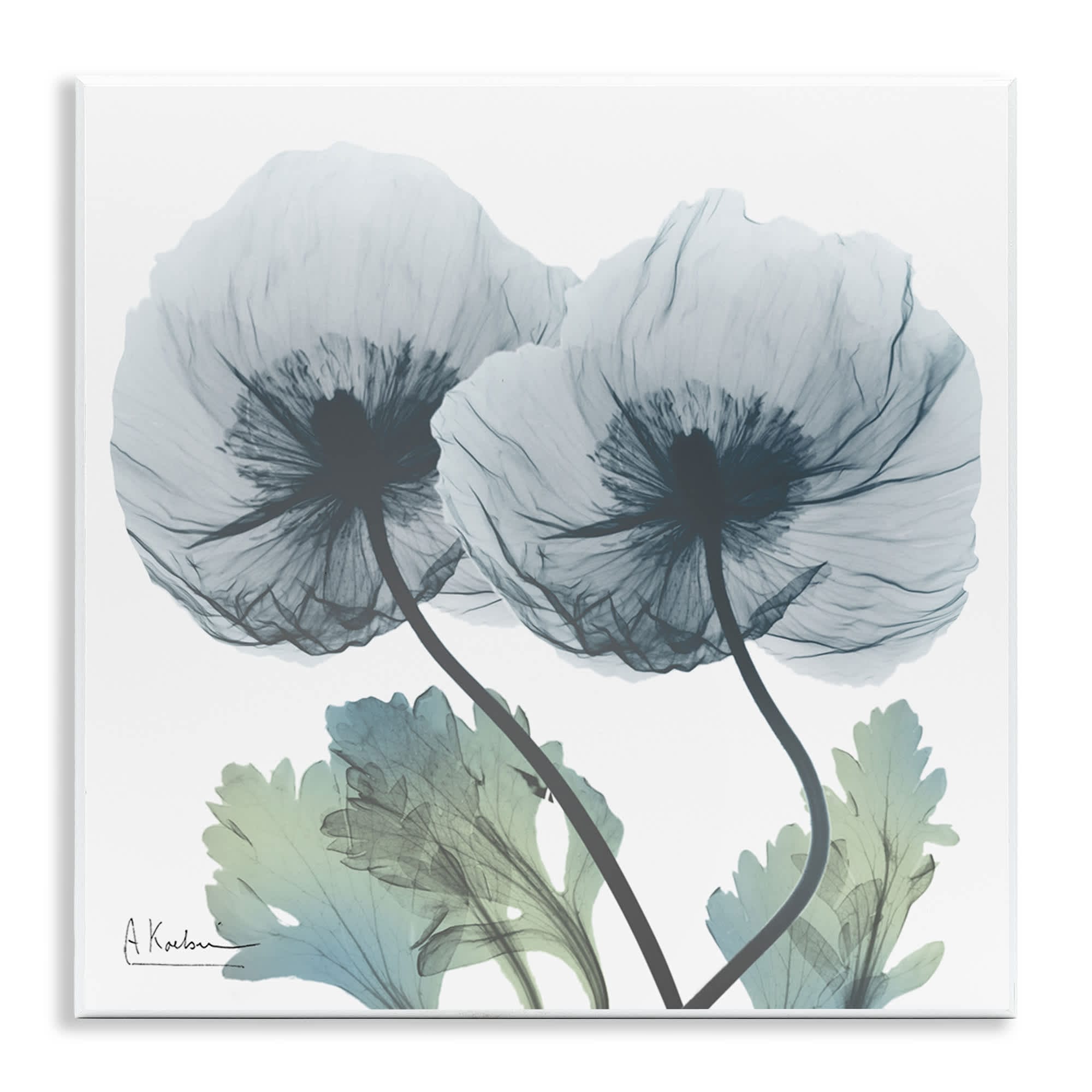 Stupell Industries Double Modern Flower Blossoms Wall Plaque Art By ...