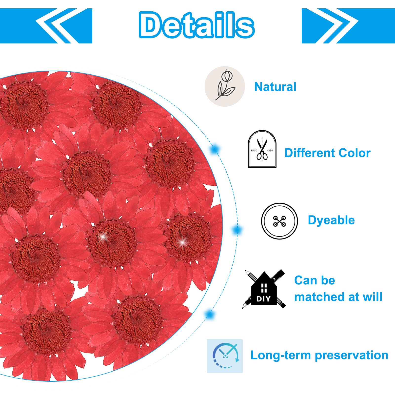 PATIKIL 48pcs Dried Pressed Flower Natural Dried Daisy Flower for DIY ...