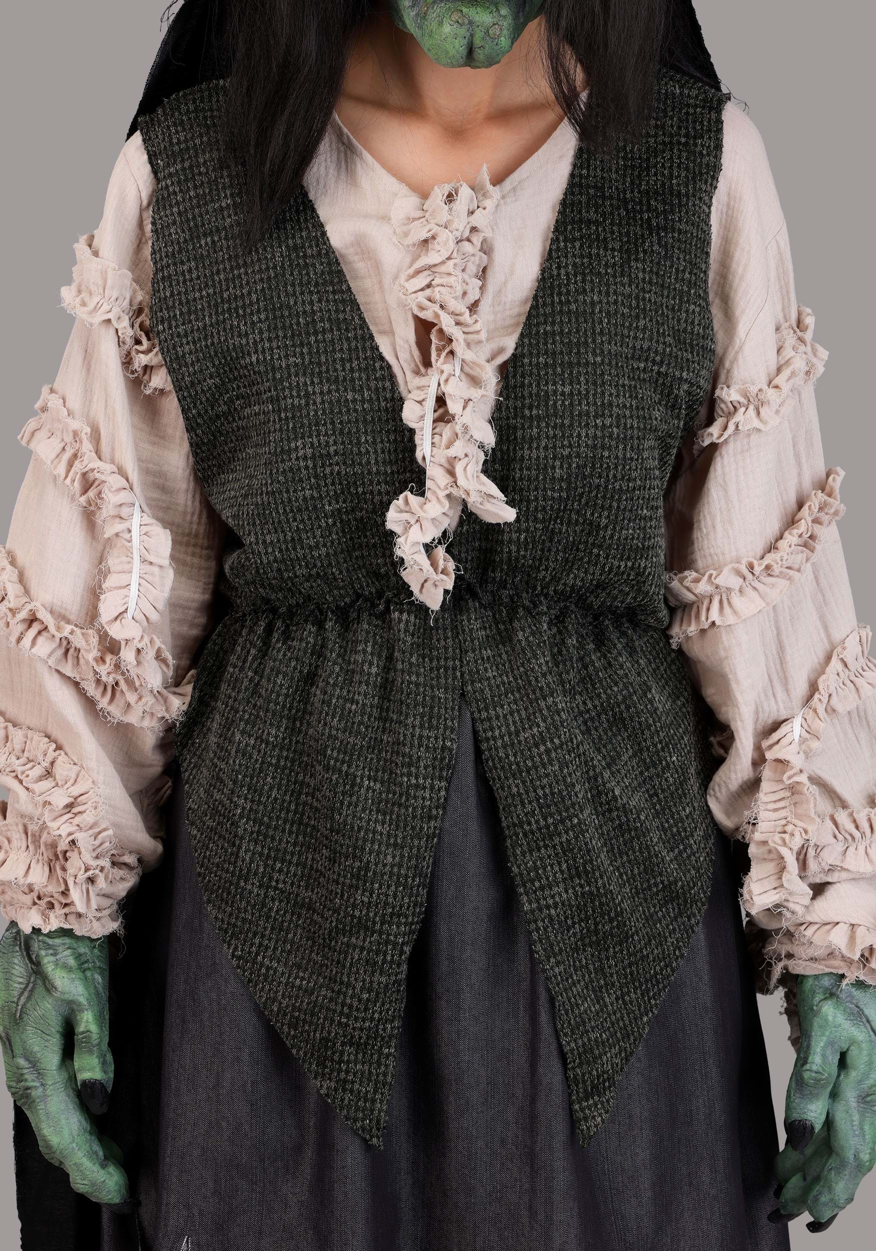 HalloweenCostumes.com FUN Costumes Premium Evil Green Witch Adult ...