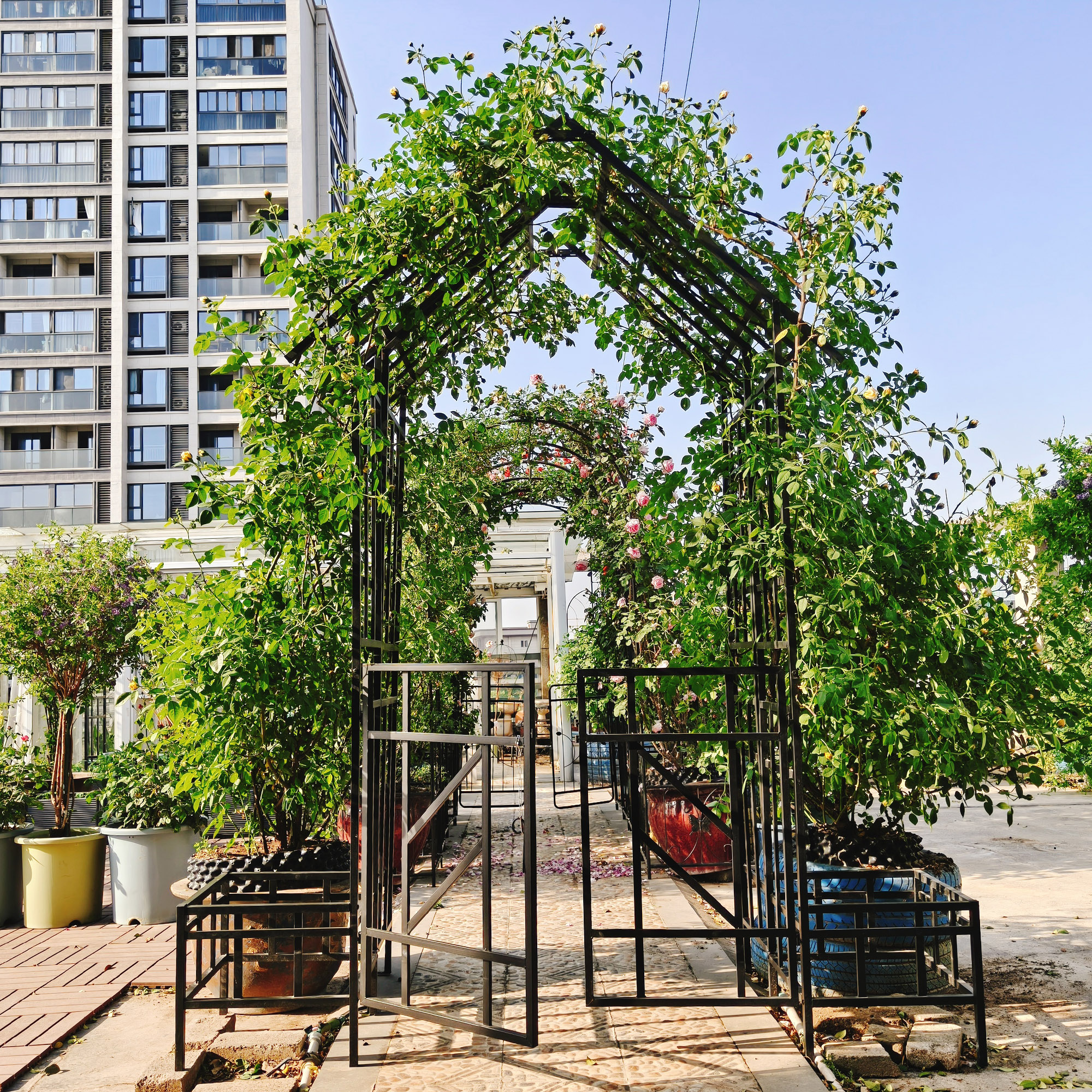 PetriMins Various Styles Arbor Trellis With Gate Black Garden Arch ...