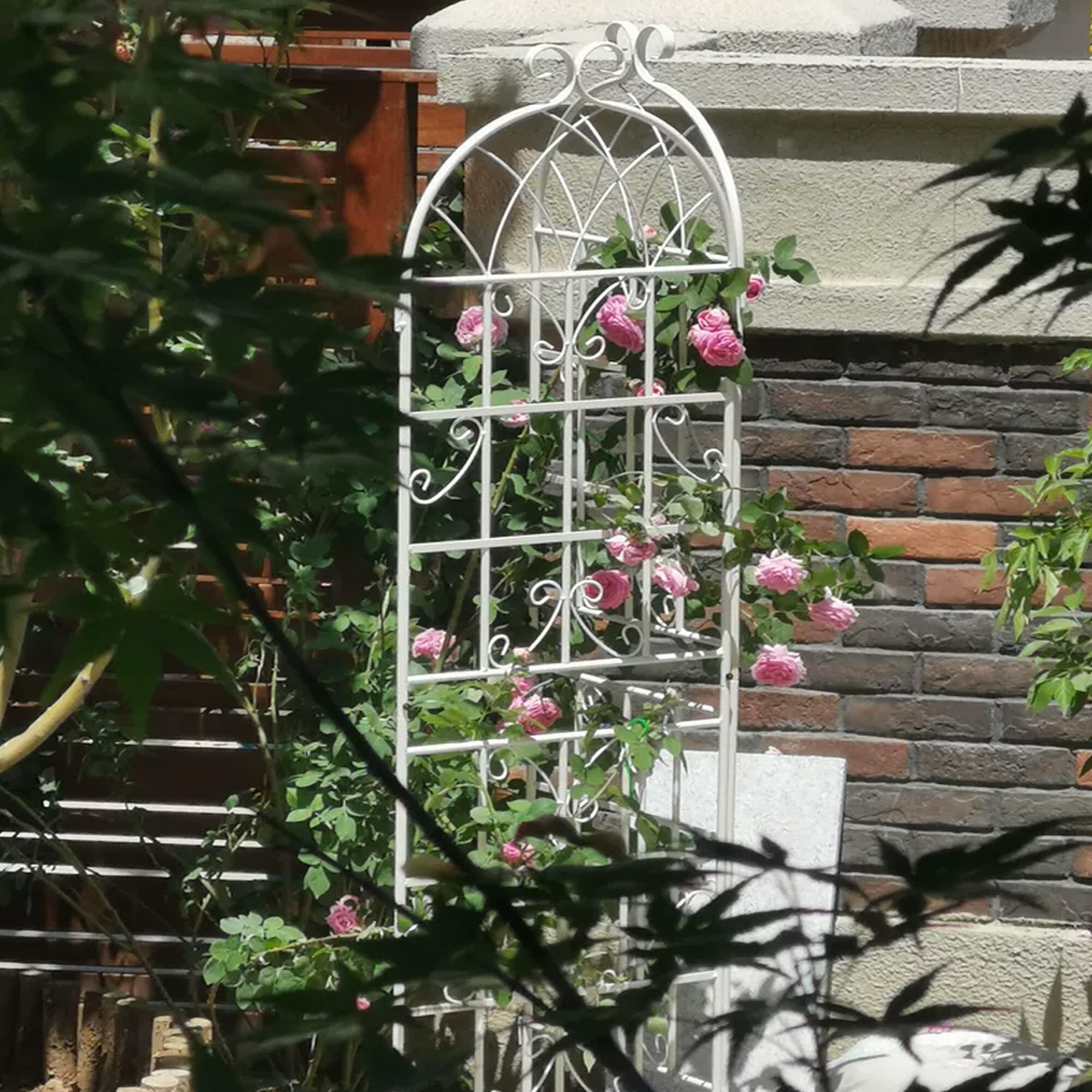 Tinyhomie 4 Pack Metal Garden Trellis 71Inch x 19.7Inch Rustproof ...