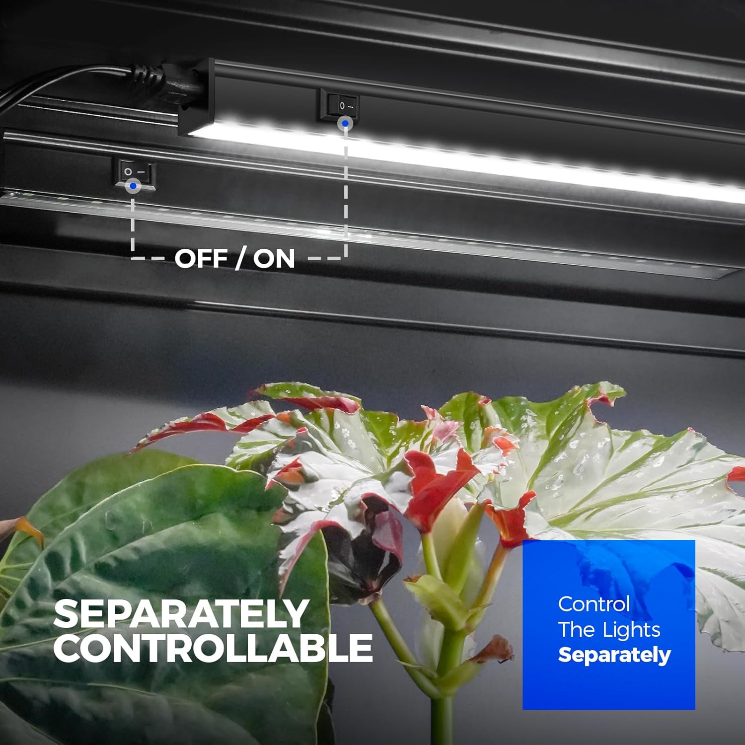 Barrina T5 Grow Lights for Indoor Plants 1FT Full Spectrum LED Plant ...
