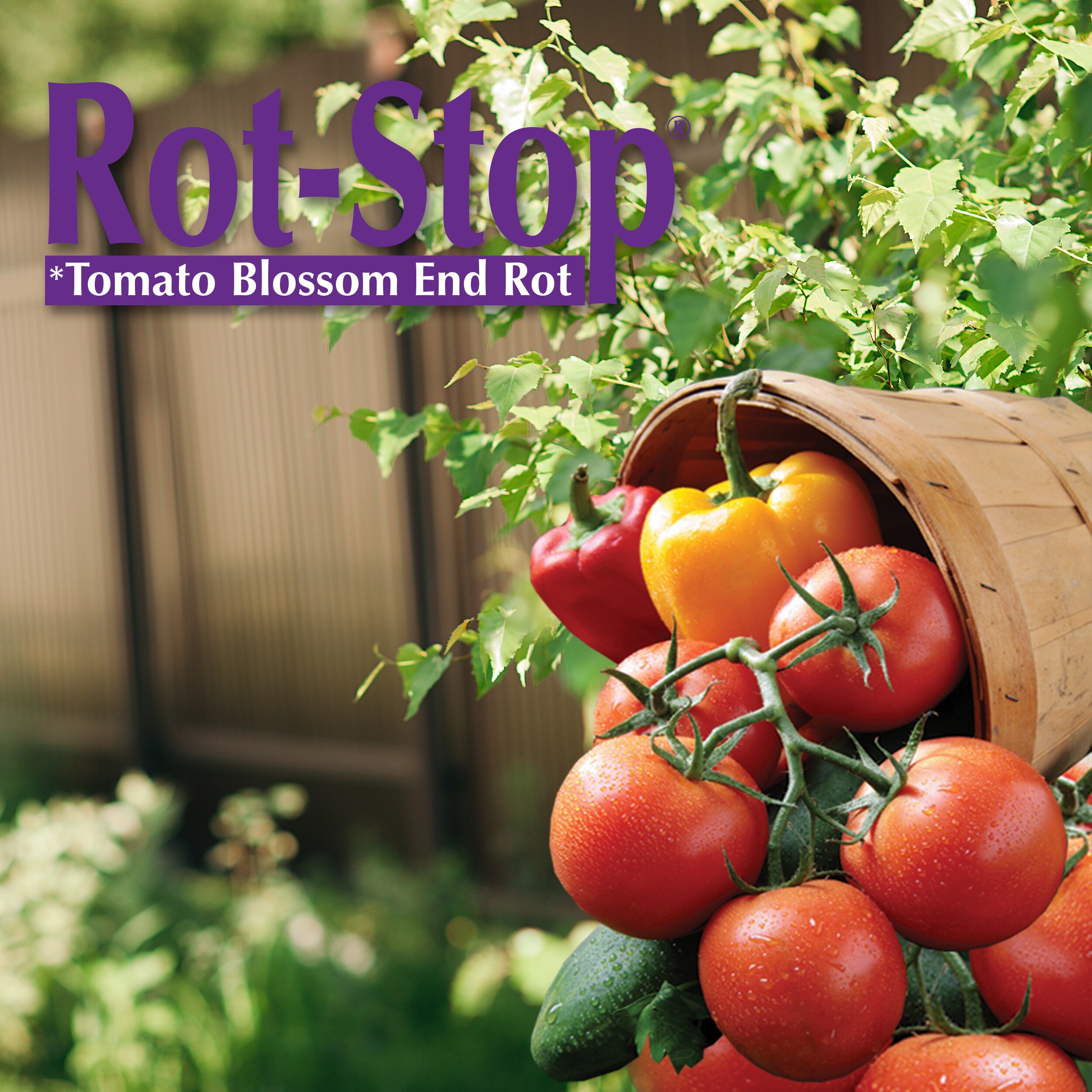 Bonide 32-fl oz Rot-Stop Blossom-end Rot Preventer 1676 at Lowes.com
