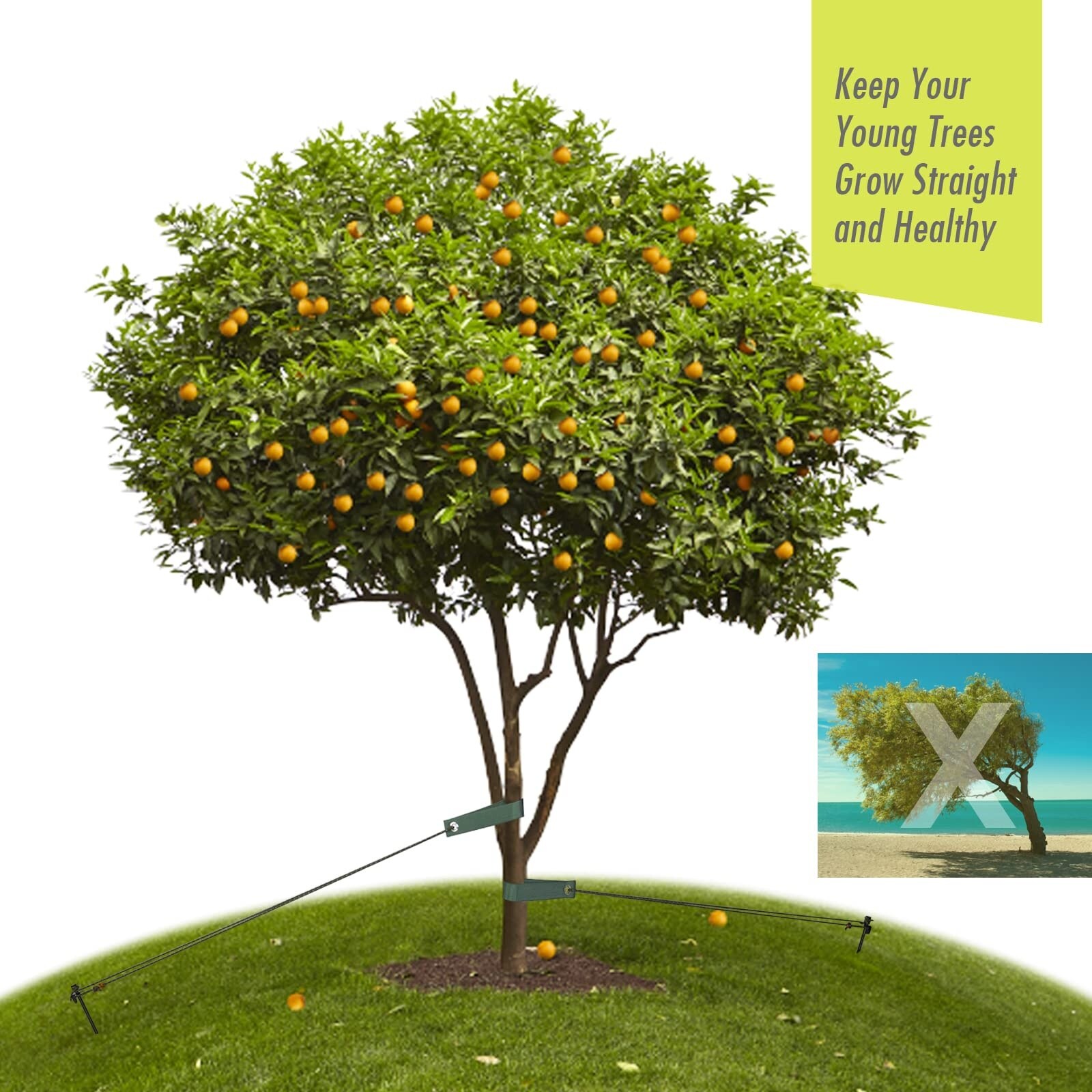 Adrinfly 3 Piece 11.8 Inch Steel Tree Stake Kit with 3 Tree Straps and ...