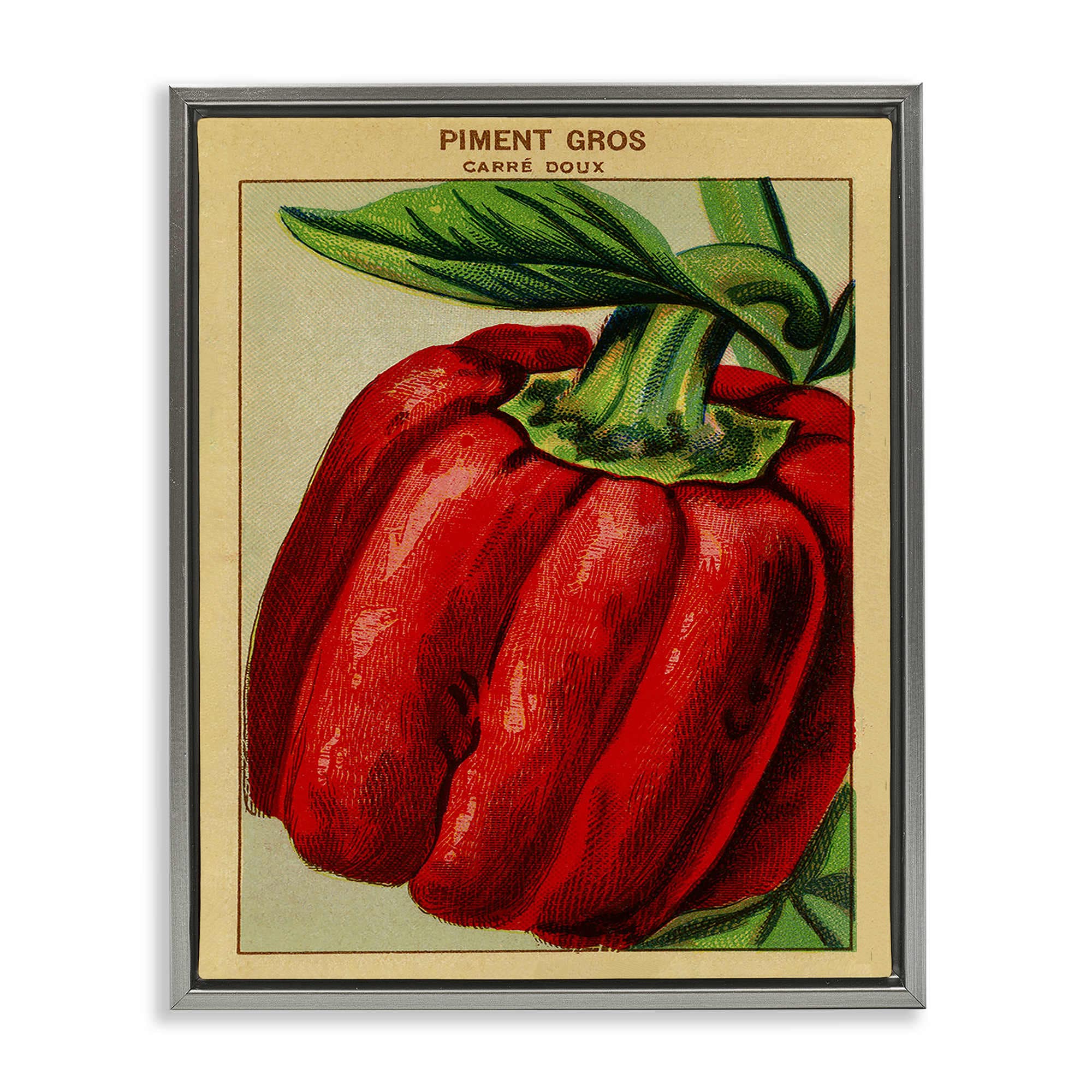 Stupell Industries Country Vintage Pepper Gray Framed Floater Canvas ...