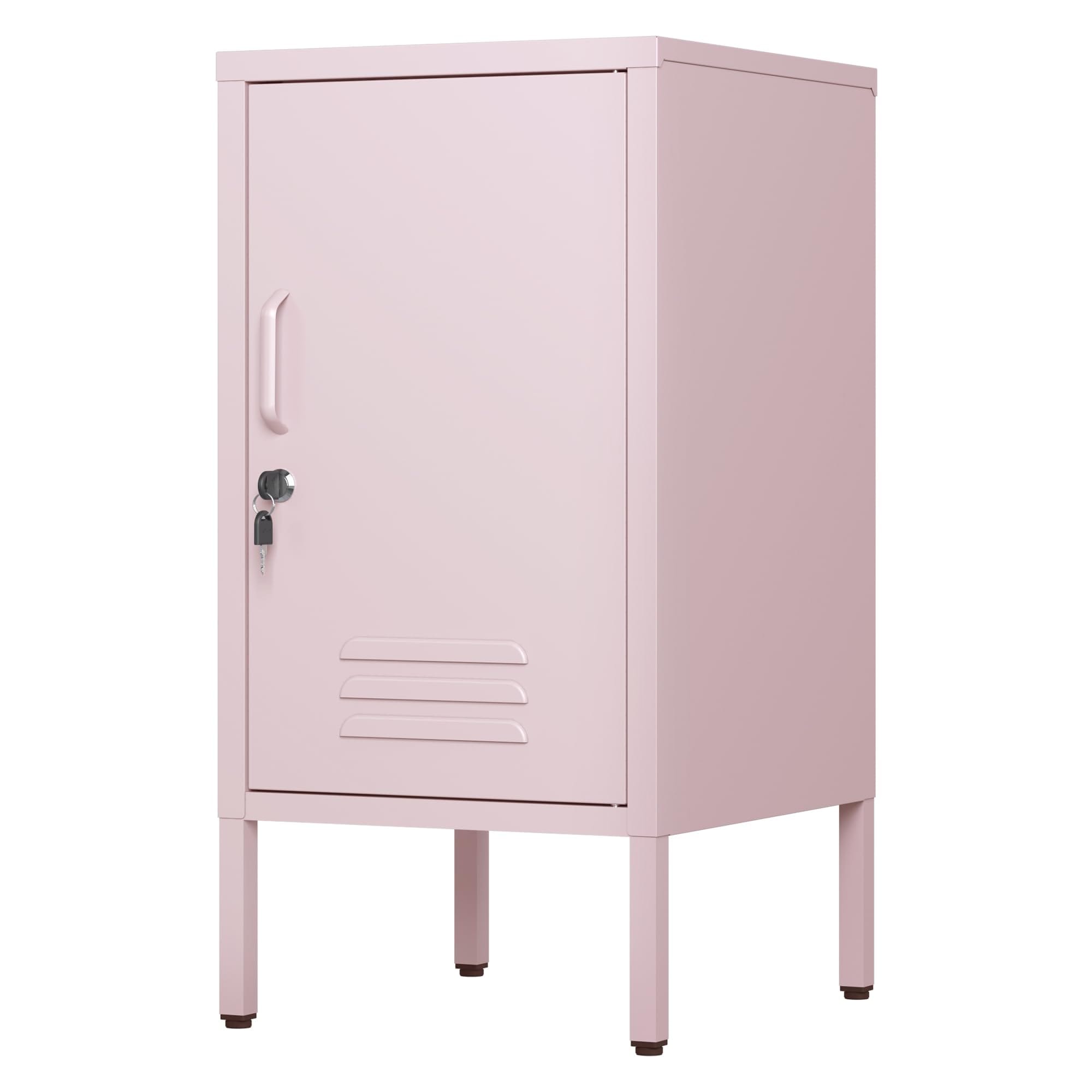 DEXSO 27.55 Inch Metal Locker Storage Cabinet With Adjustable Shelf 1 ...