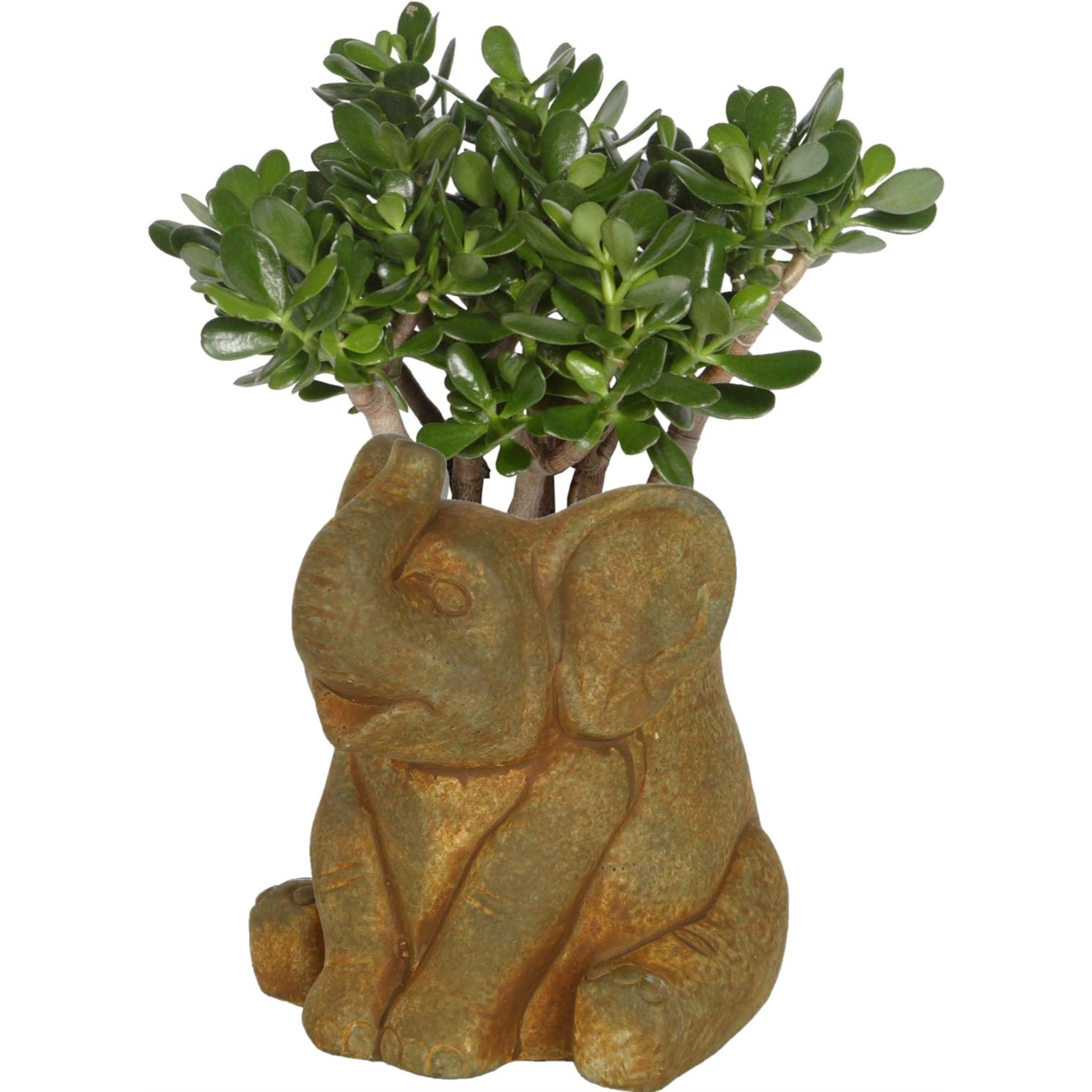 Classic Home & Garden Cement Buddies Planter with Drainage Hole ...