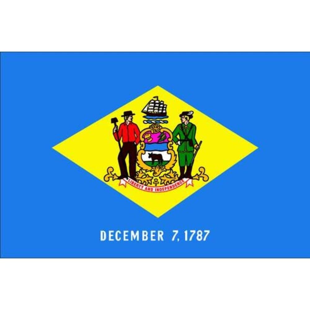 Annin Flagmakers Delaware State Flag3x5 Ft 140860 in the Decorative ...