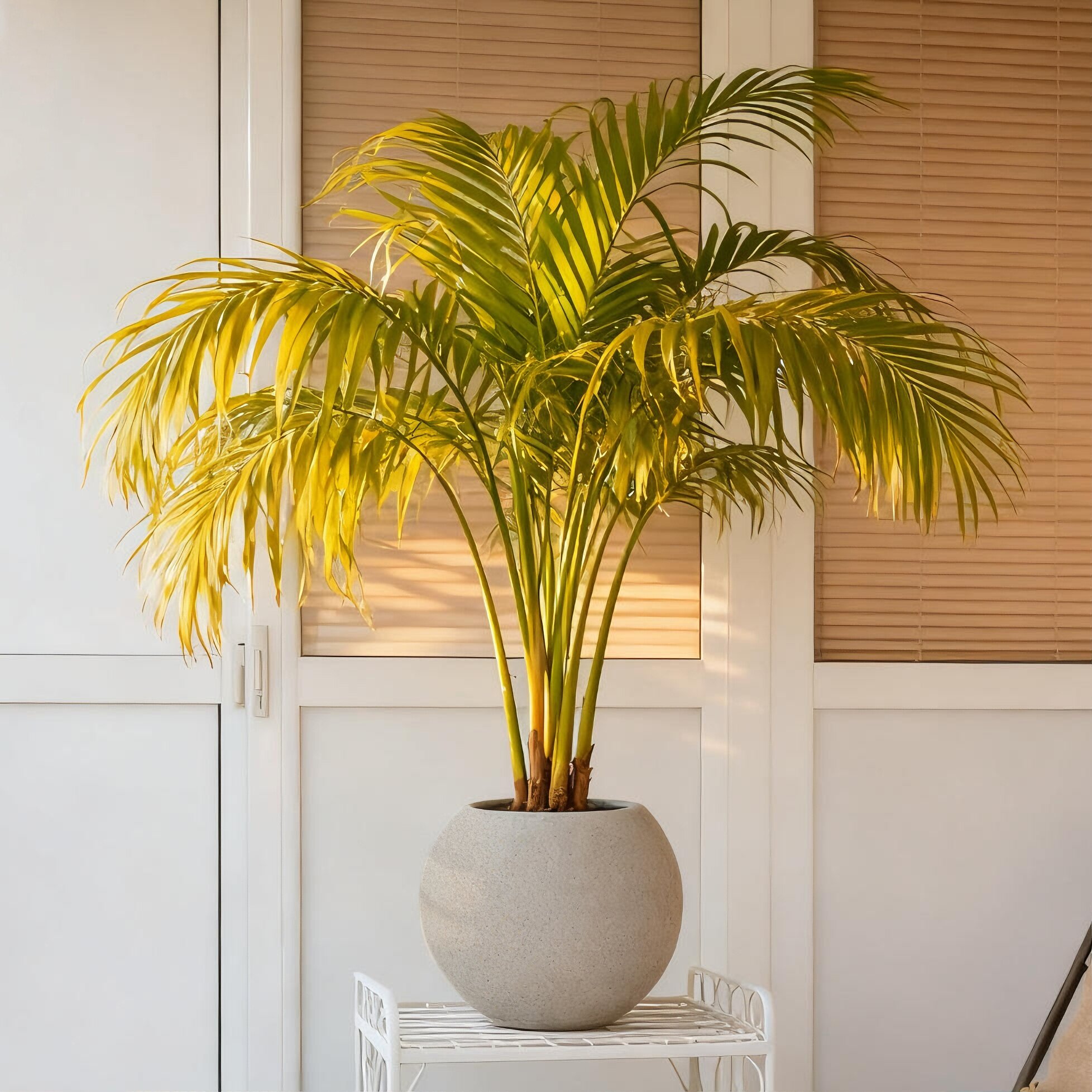 Boyel Living 17.1 Inch Round Magnesium Oxide Planter Large Floor Plant ...