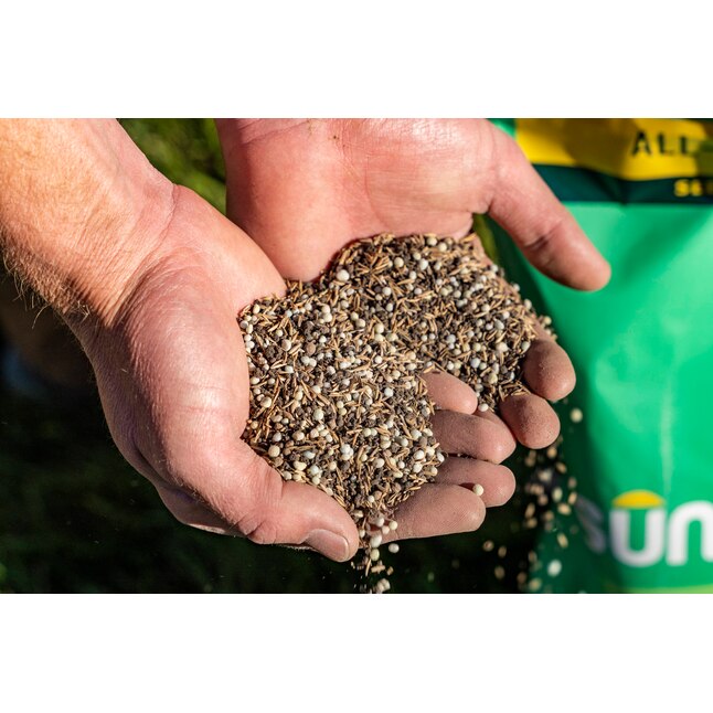 Sunday Northwest Seed Feed 10 Lb Natural Mixtureblend Grass Seed In The Grass Seed Department