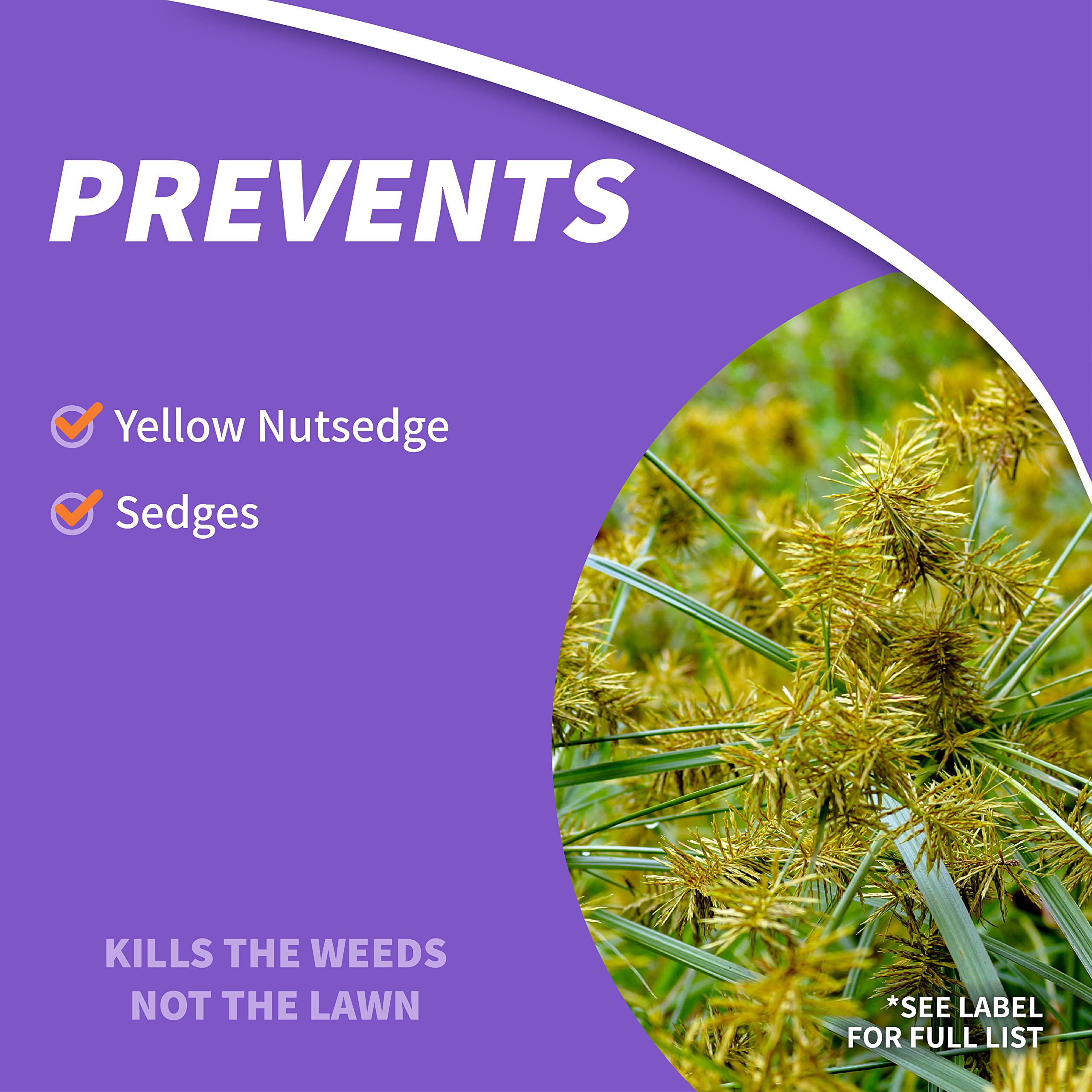 Bonide Sedge Ender 16 oz Concentrated Weed Killer Fast Acting Rainproof ...