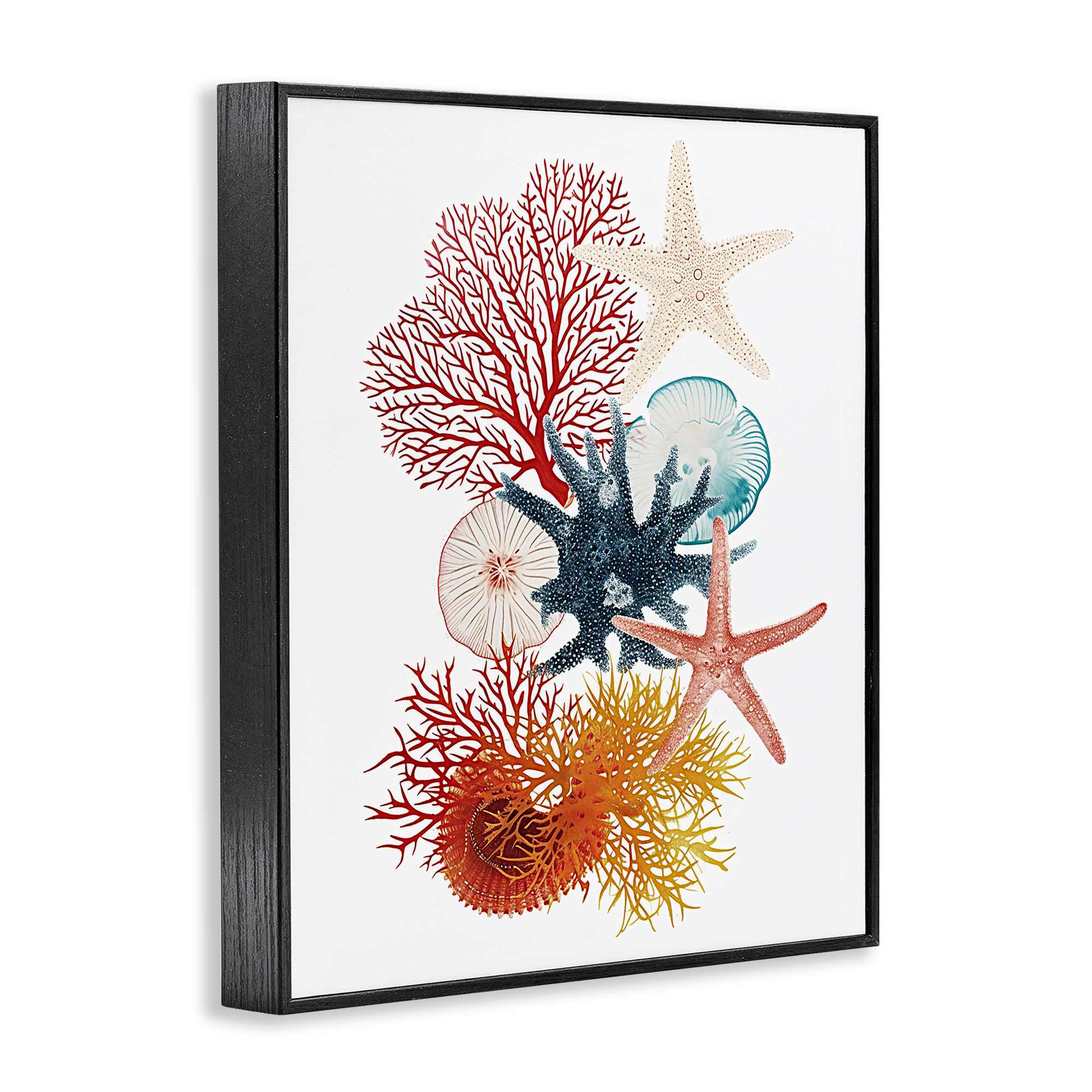 Stupell Industries Coral and Undersea Creatures Black Framed Giclee Art ...