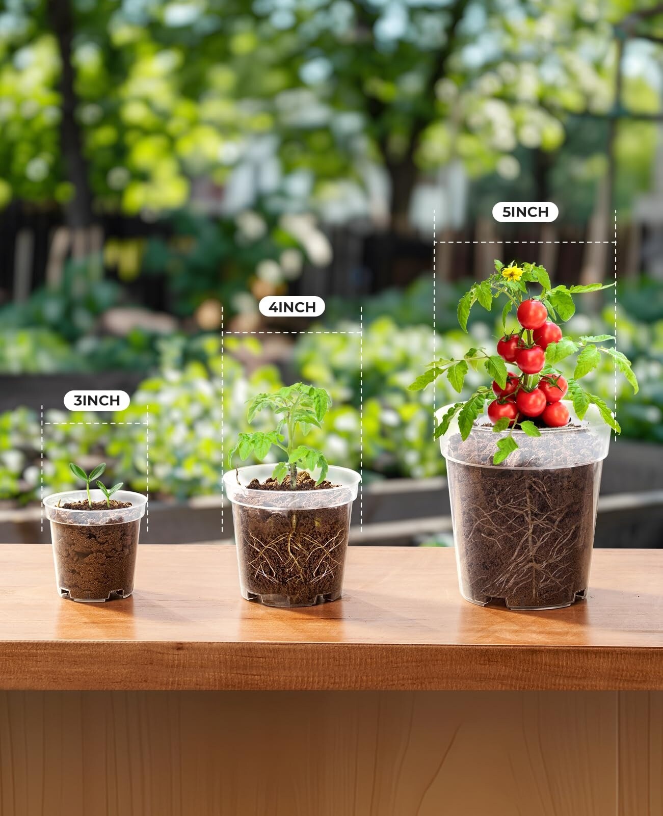 ITOPFOX Clear Nursery Pots 30 pack Plastic Seedling Pots 3 inch 4 inch ...