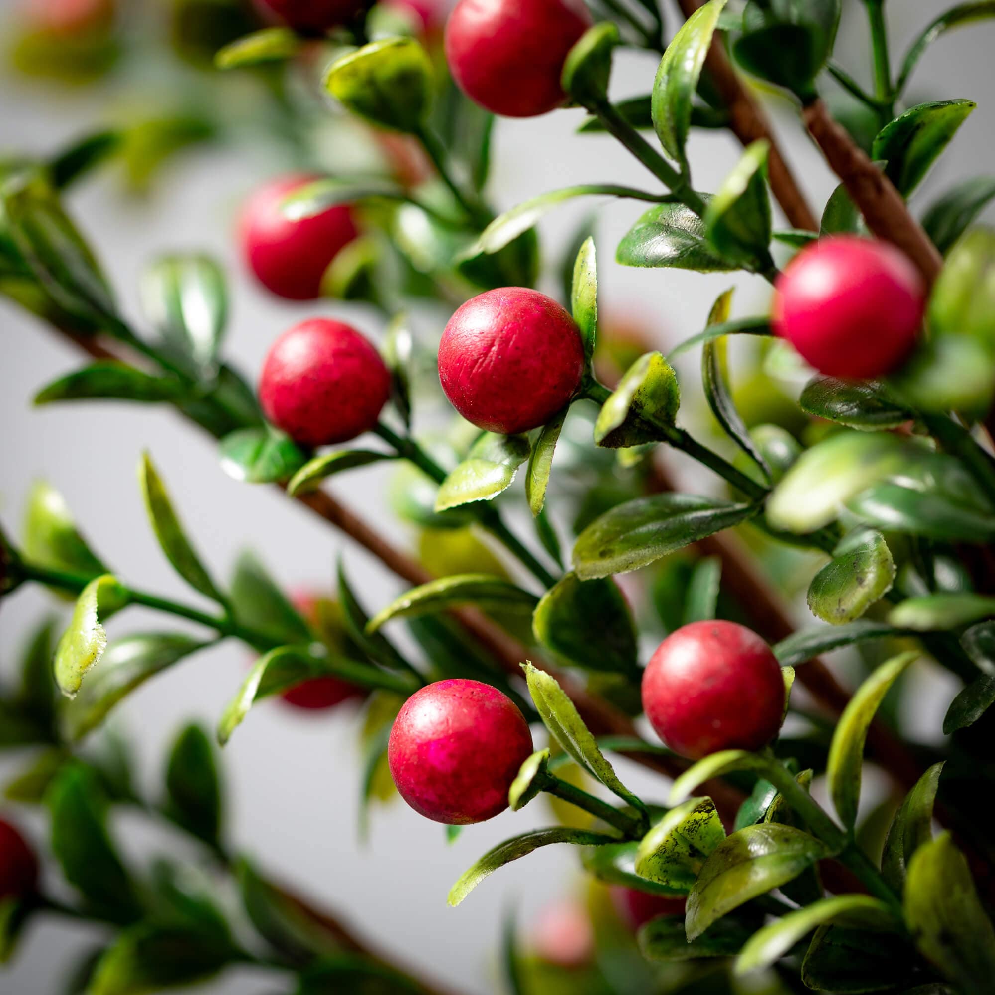 Sullivans Green Boxwood Spray Christmas Tree Pick ST1923 at Lowes.com