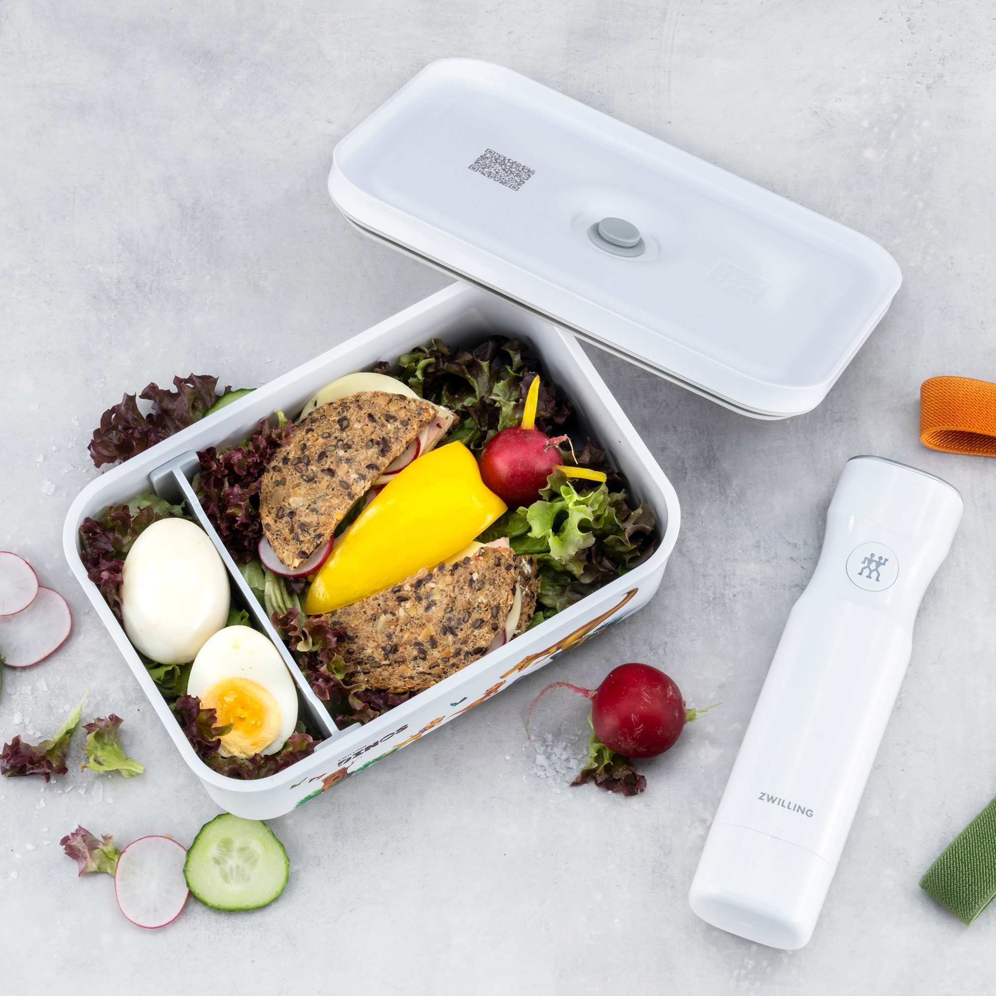 Zwilling Fresh and Save DINOS Plastic Lunch Box Airtight Food Storage ...