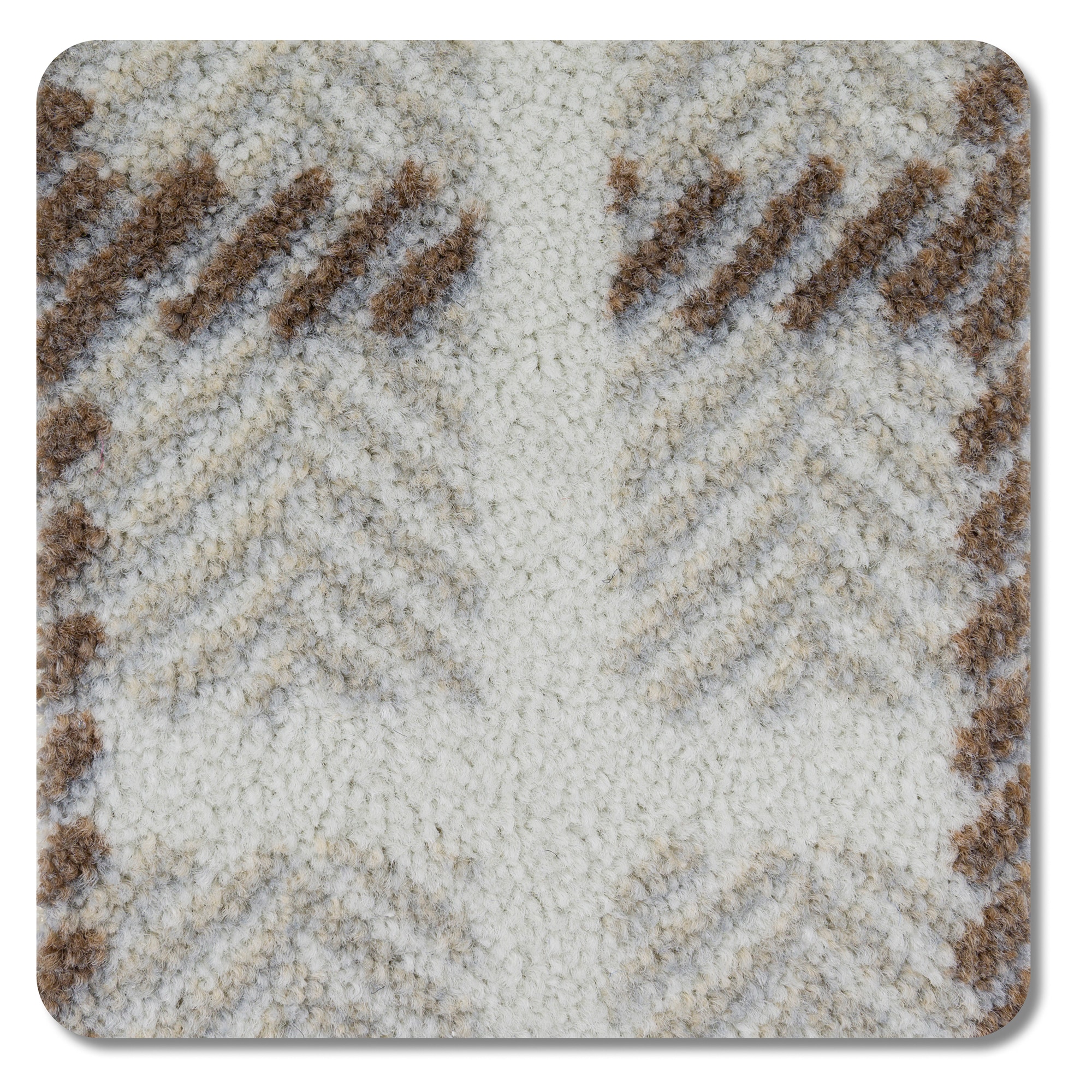Joy Carpets Young At Heart Room To Grow Mocha Brown 26-oz sq yard Nylon ...
