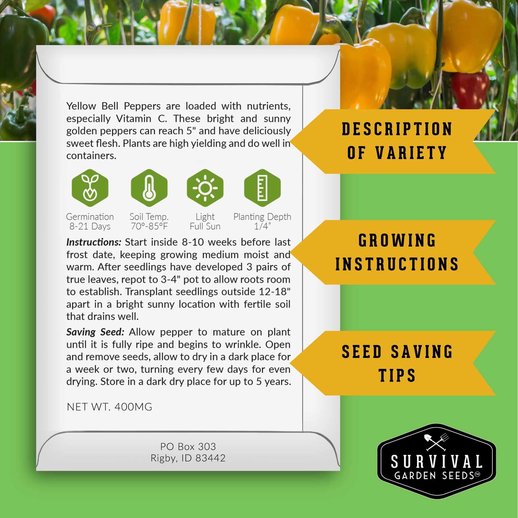 Survival Garden Seeds 5 Variety Heirloom Bell Pepper Seed Collection in ...