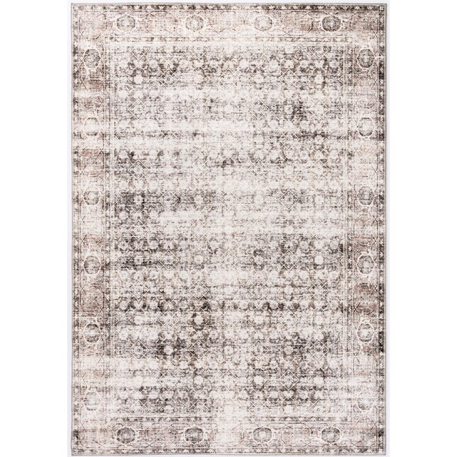Abani Rugs 8 x 10 Indoor/Outdoor Distressed/Overdyed Area Rug at Lowes.com Abani Rugs 8 x 10 Indoor/Outdoor Distressed/Overdyed Area Rug at Lowes.com