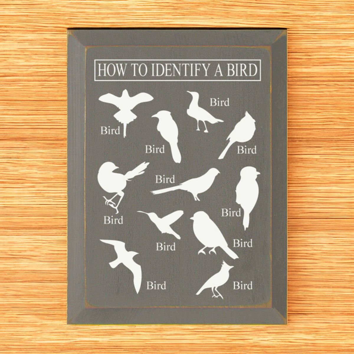 Slickblue 9 Inch x 12 Inch Solid Wood How To Identify A Bird Wall Sign ...