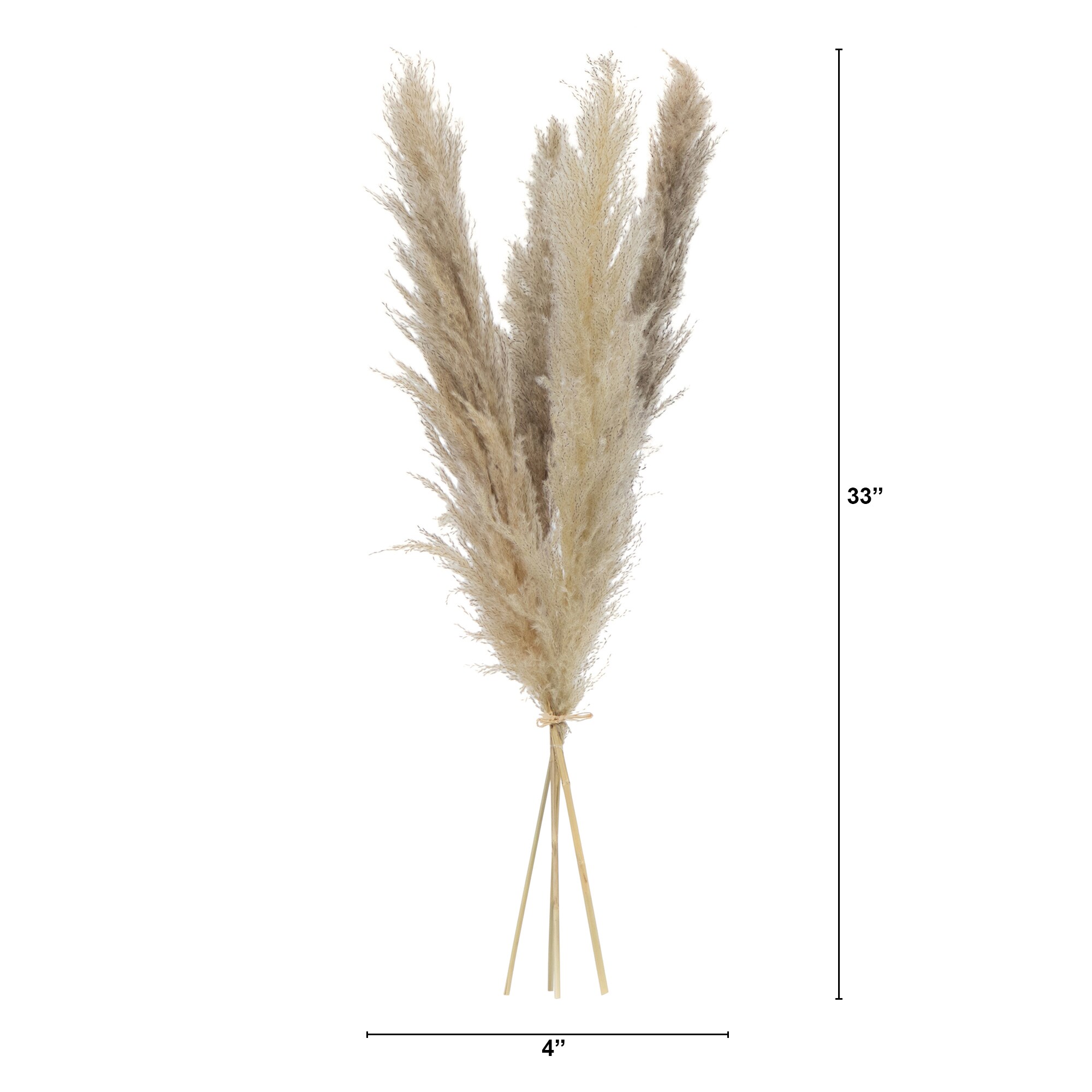 Nearly Natural 33-in Dried Natural Pampas Grass Bundle - Set of 288 in ...