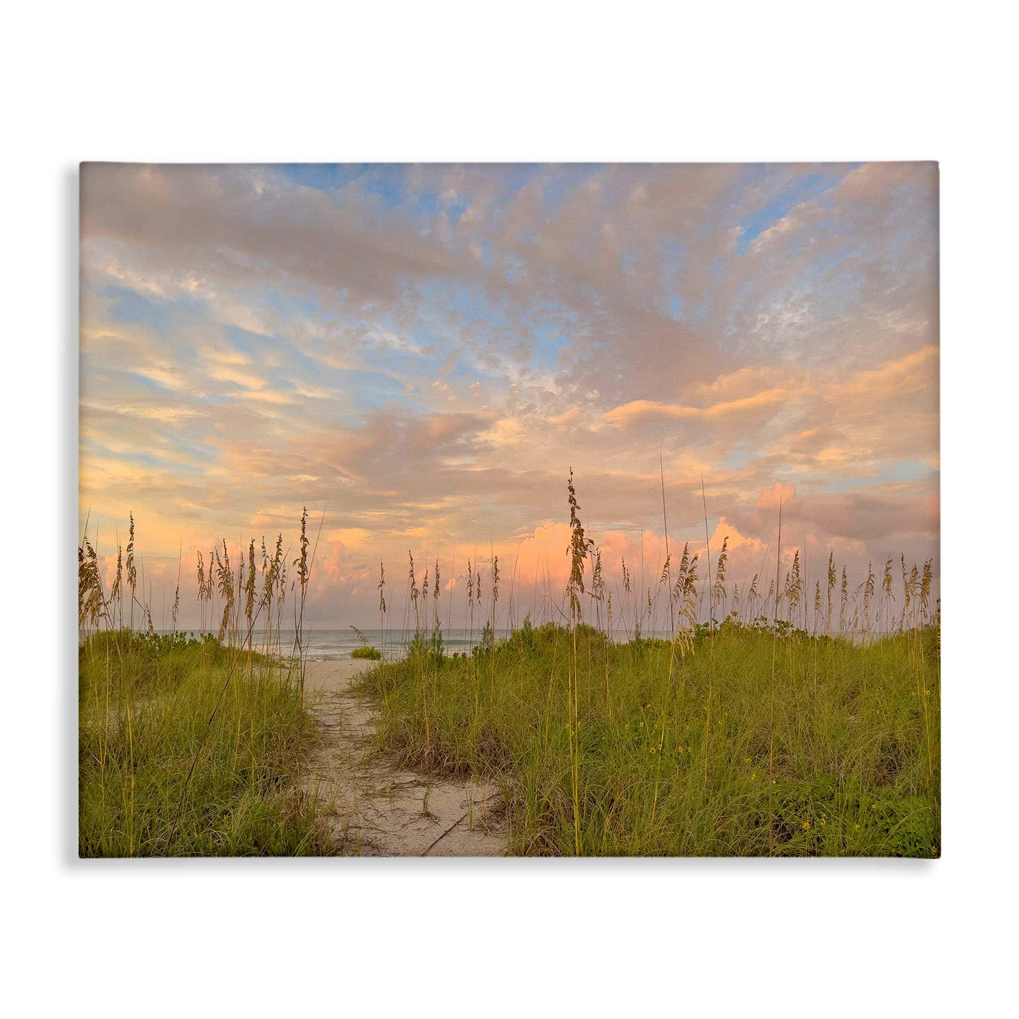 Stupell Industries Serene Coastal Path Grasses Canvas Wall Art By Mary ...