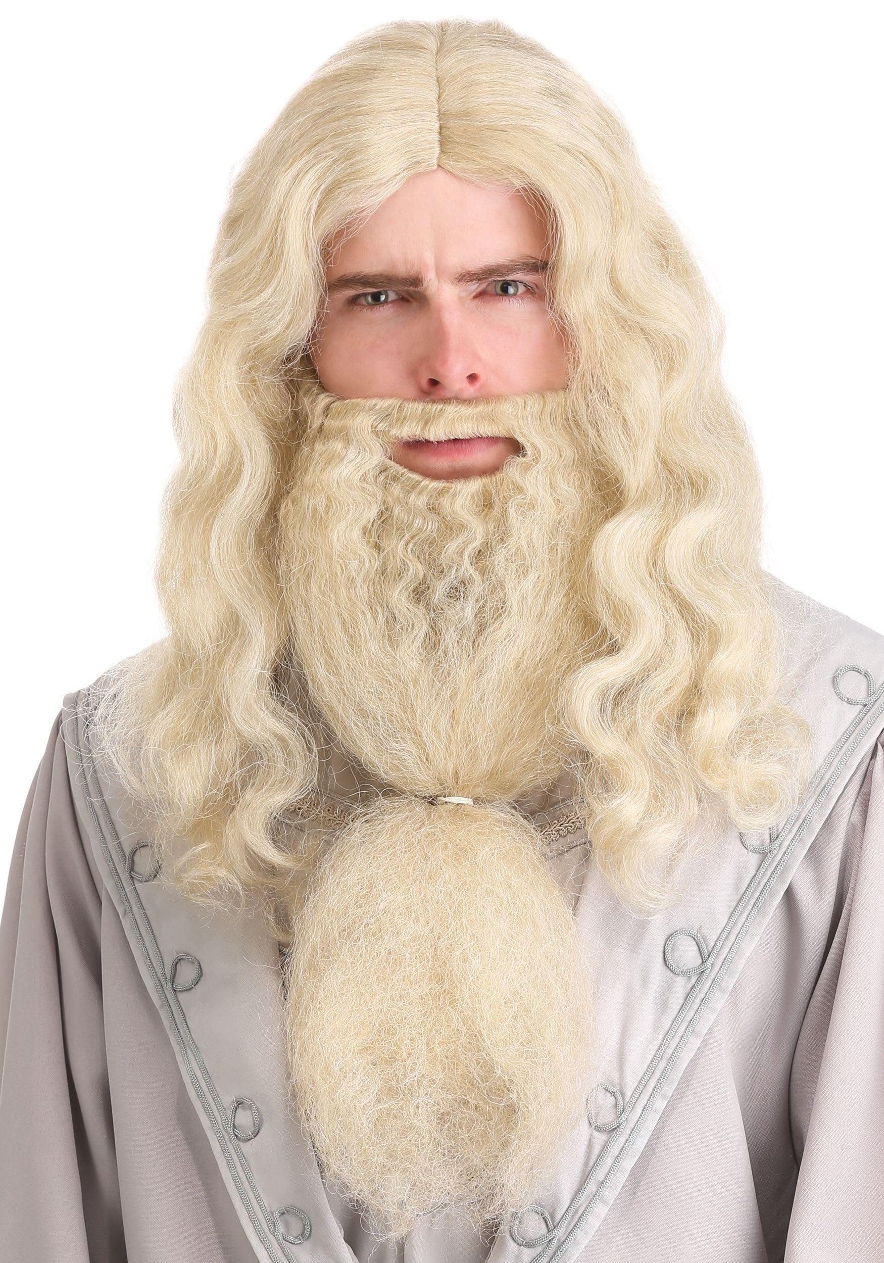 HalloweenCostumes.com FUN Costumes Headmaster Wizard Adult Costume Wig ...