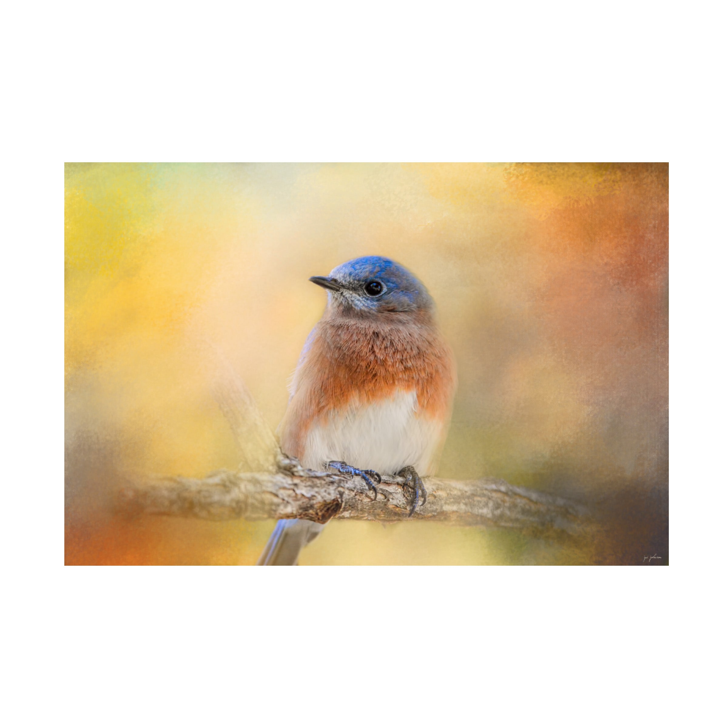 Trademark Fine Art Jai Johnson Autumns Treasure Canvas Art in the Wall ...