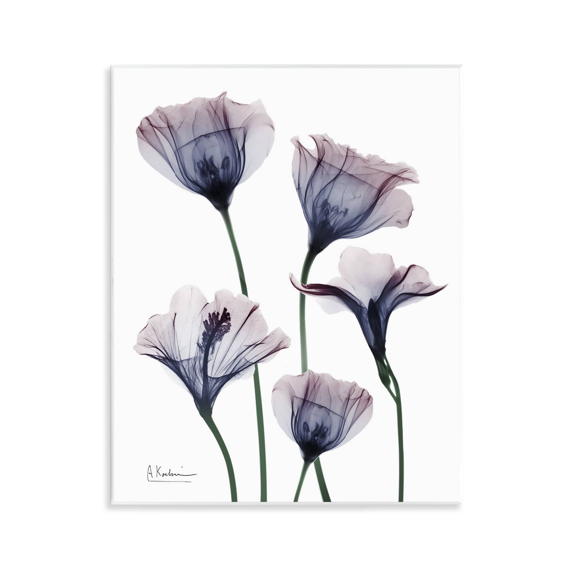 Stupell Industries Subtle Fresh Flowers Wall Plaque Art By Albert ...