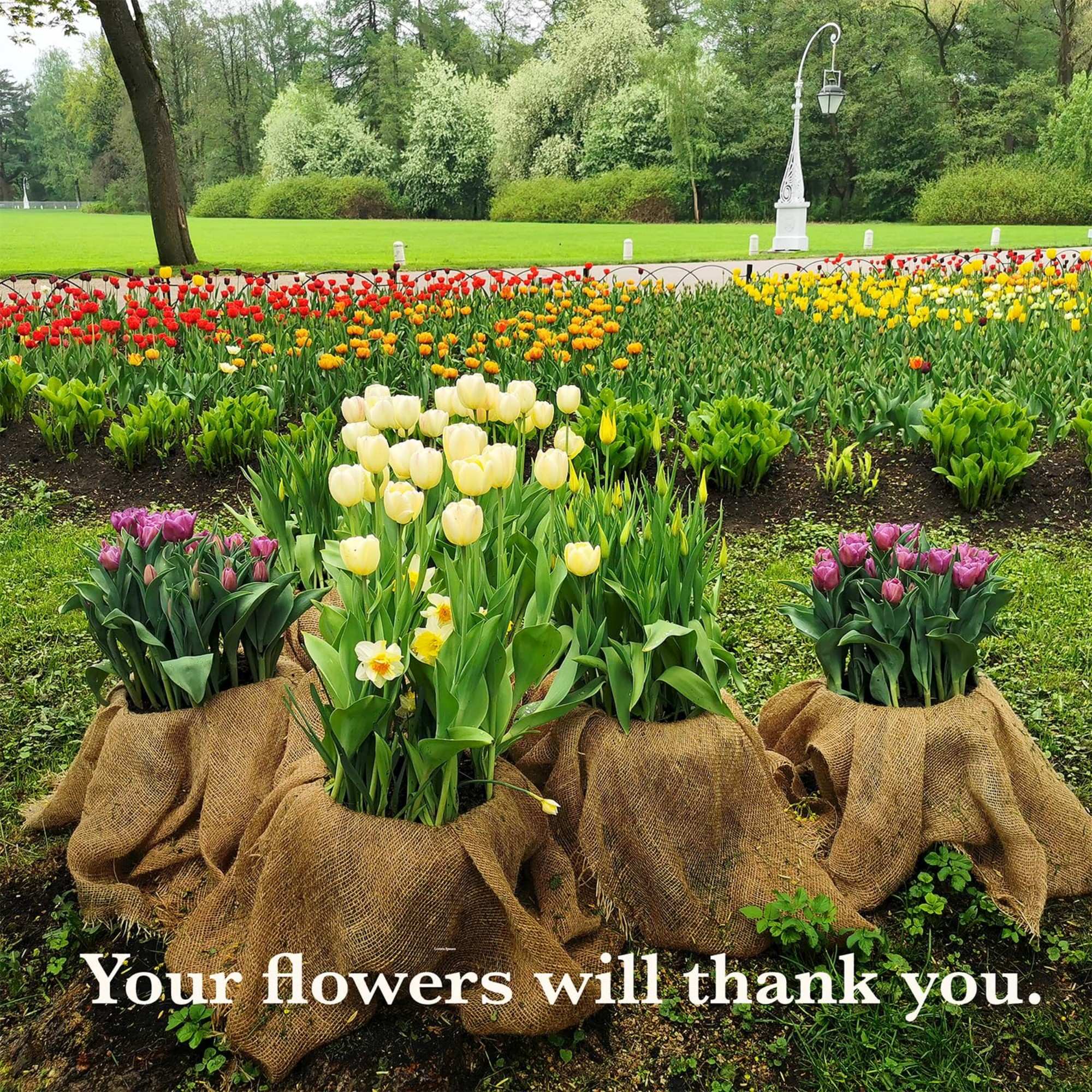 Wudkey 40inx75Ft Multipurpose Natural Gardening Burlap Fabric Roll in ...