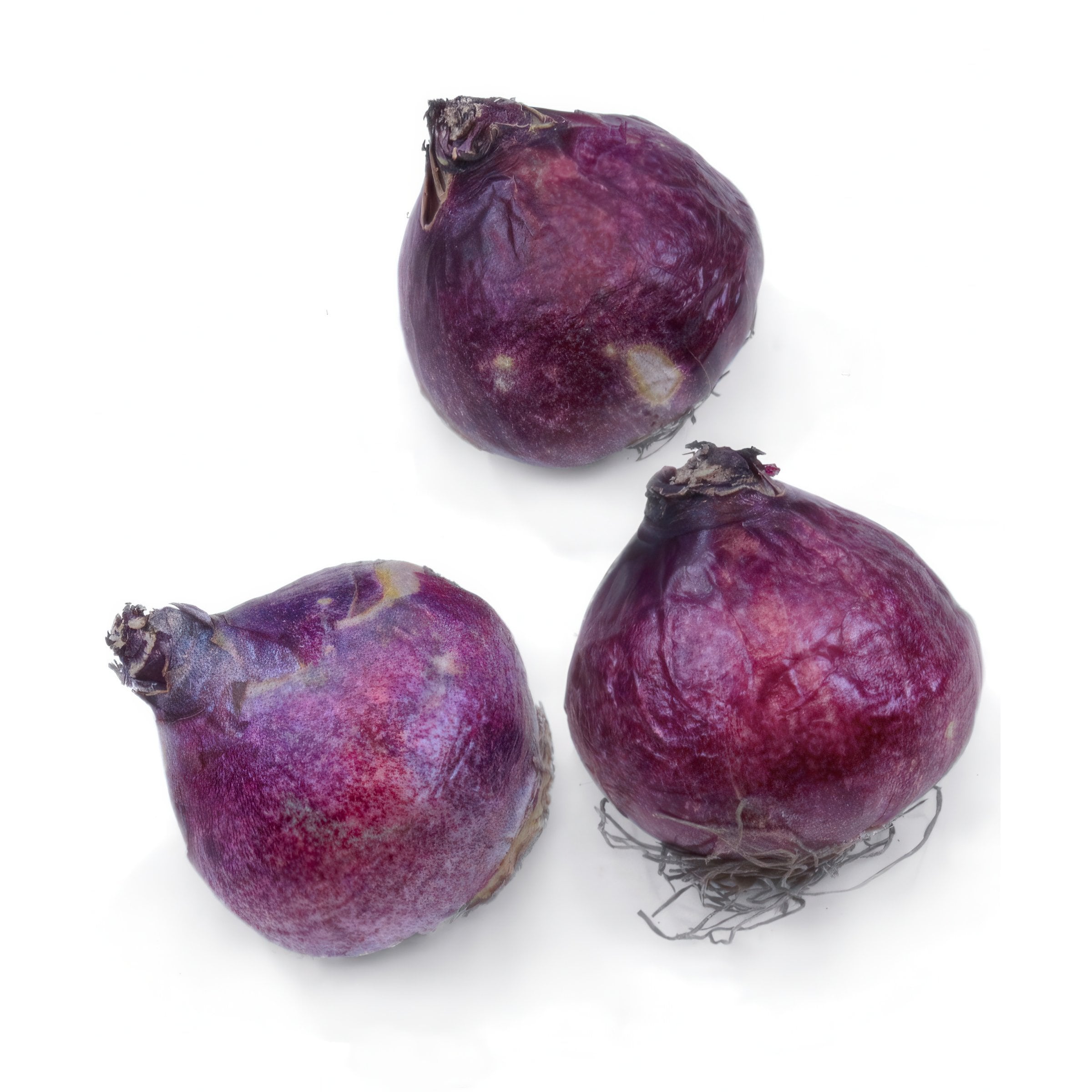 National Plant Network Pink Hyacinth Pink Pearl Bulbs Bulbs 5 Count in ...