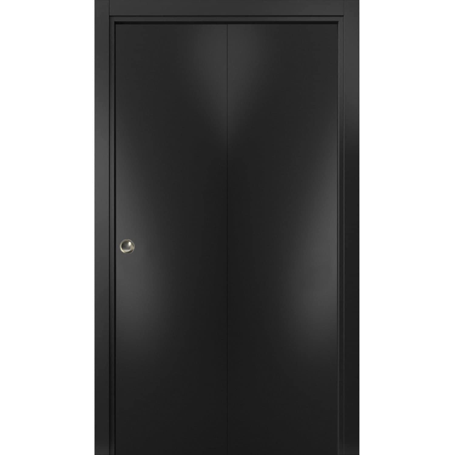 Black 10 Accordion Doors at Lowes.com