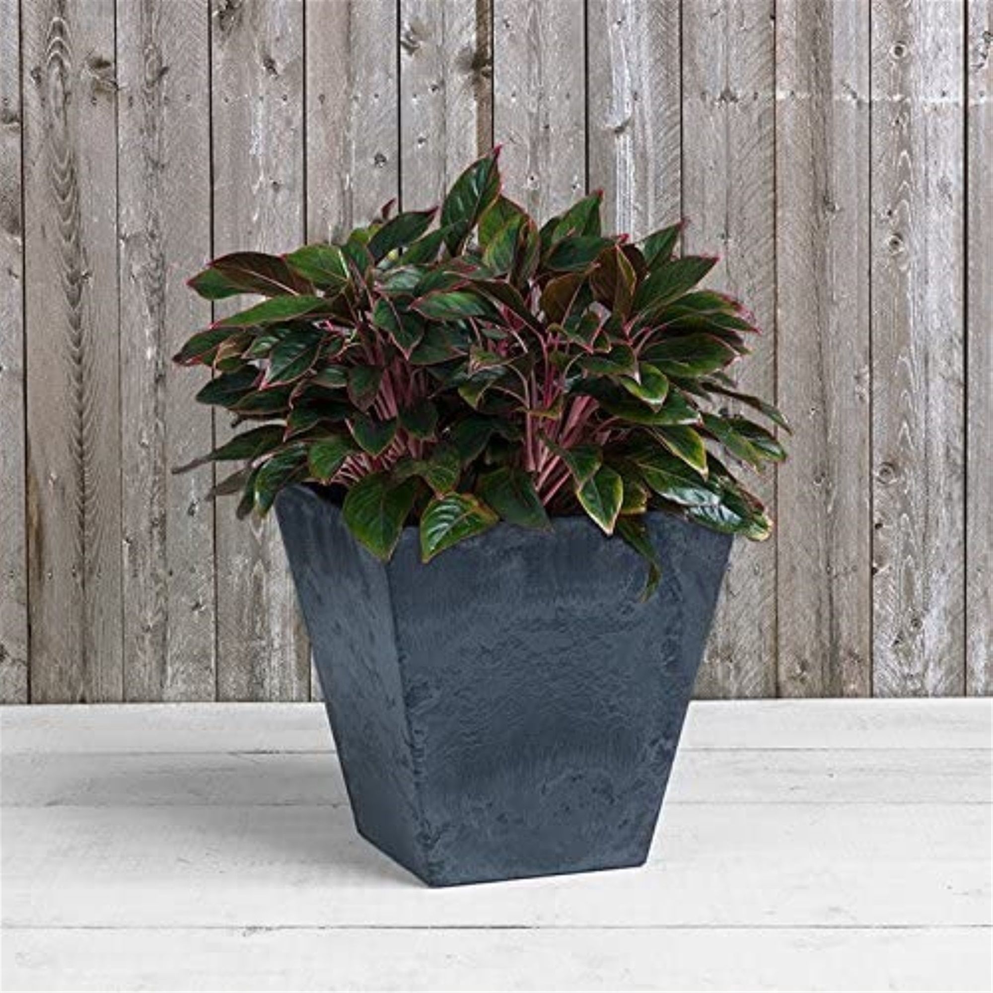 Novelty Manufacturing ArtStone 35188 Square Ella Planter/Flower Pot ...