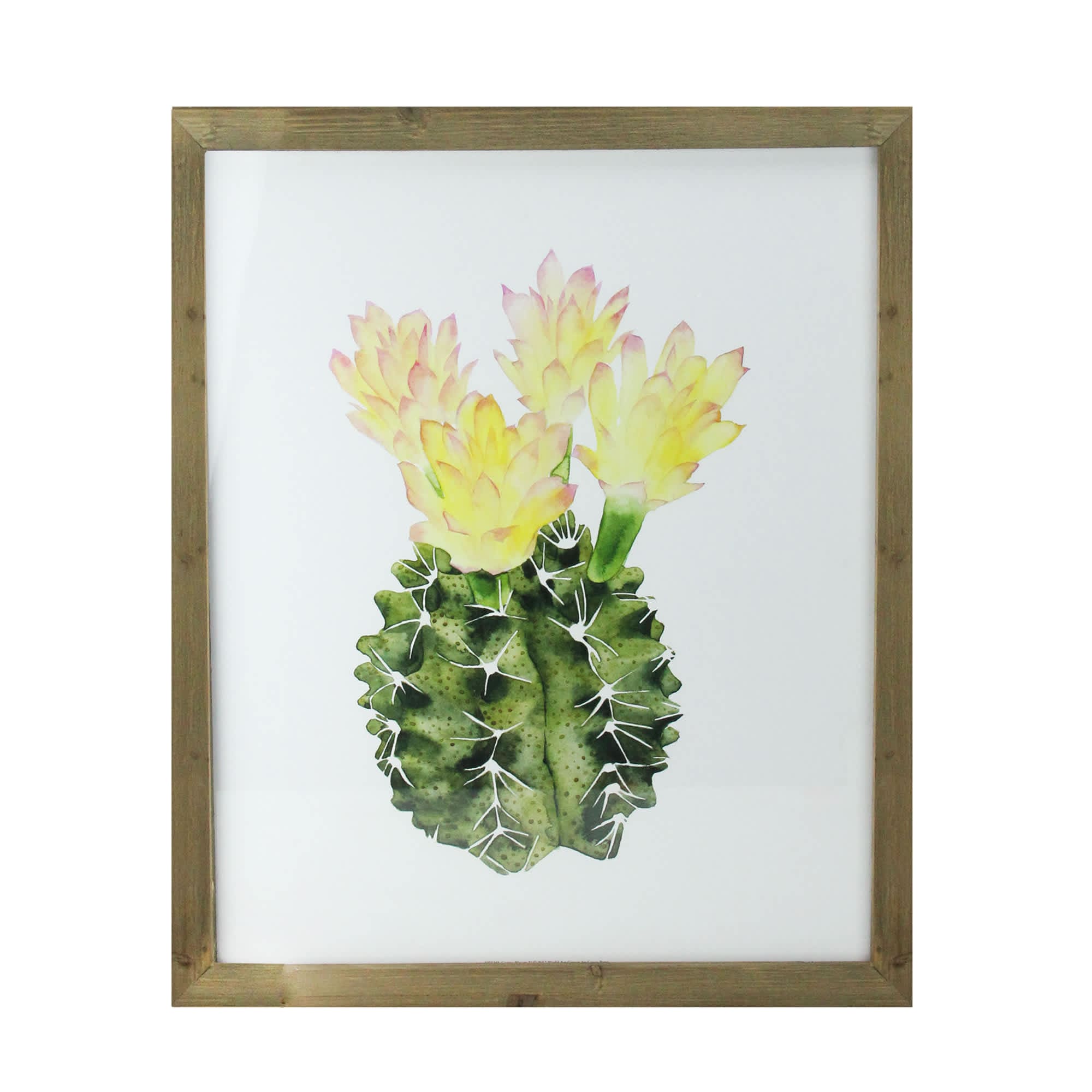 RAZ Imports 24 inch Yellow and Green Cactus Wooden Framed Print Wall ...