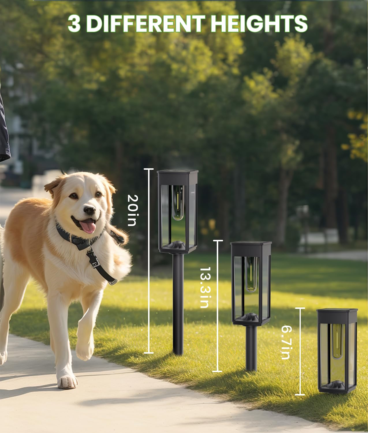 MELLIN 8 -Pack Warm White 100 -Lumens Black Solar LED Outdoor Path ...