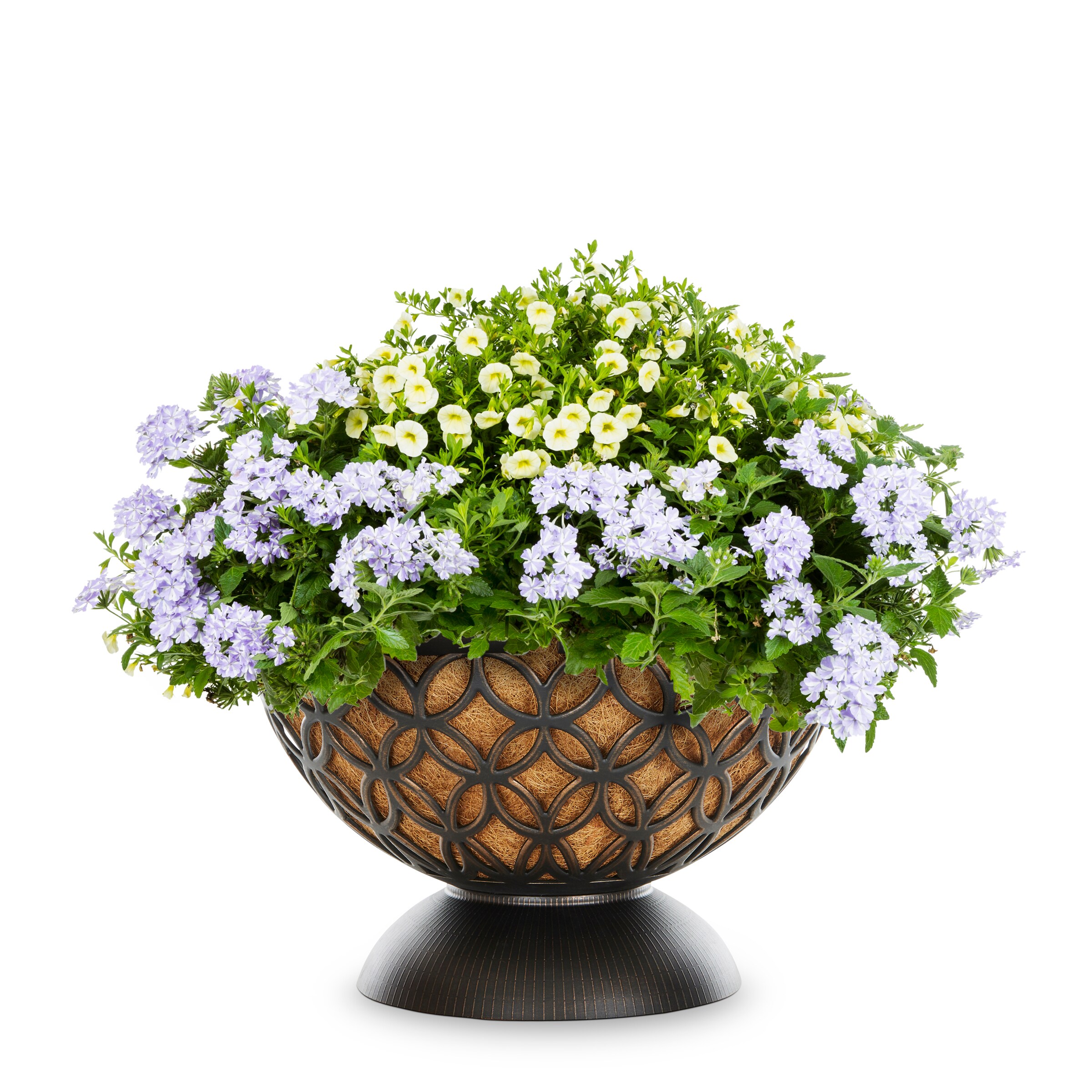 Lowe's Multicolor Neptune in 5 Gallon(s) Planter in the Annuals ...