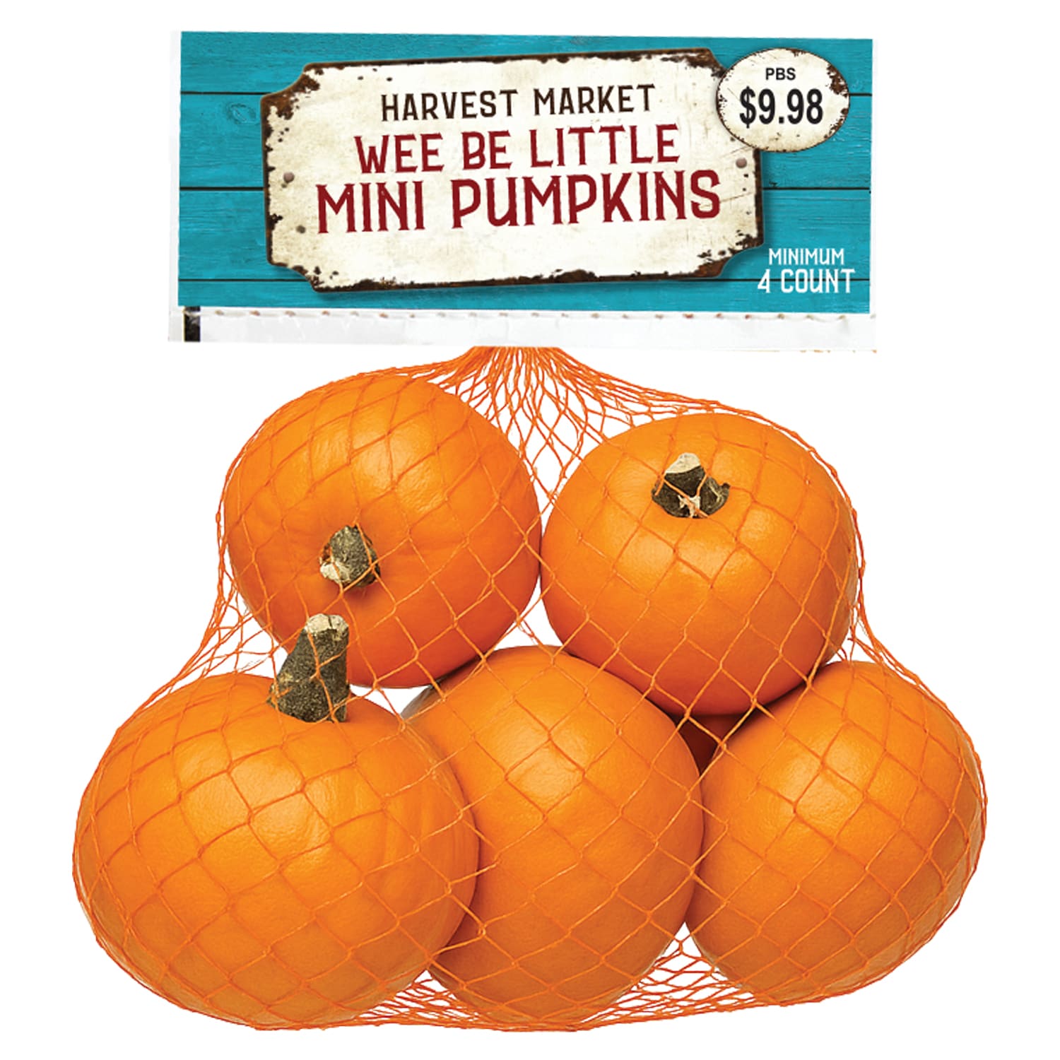 Eco Forest WEE BE LITTLE BAGS in the Pumpkins & Gourds department at ...