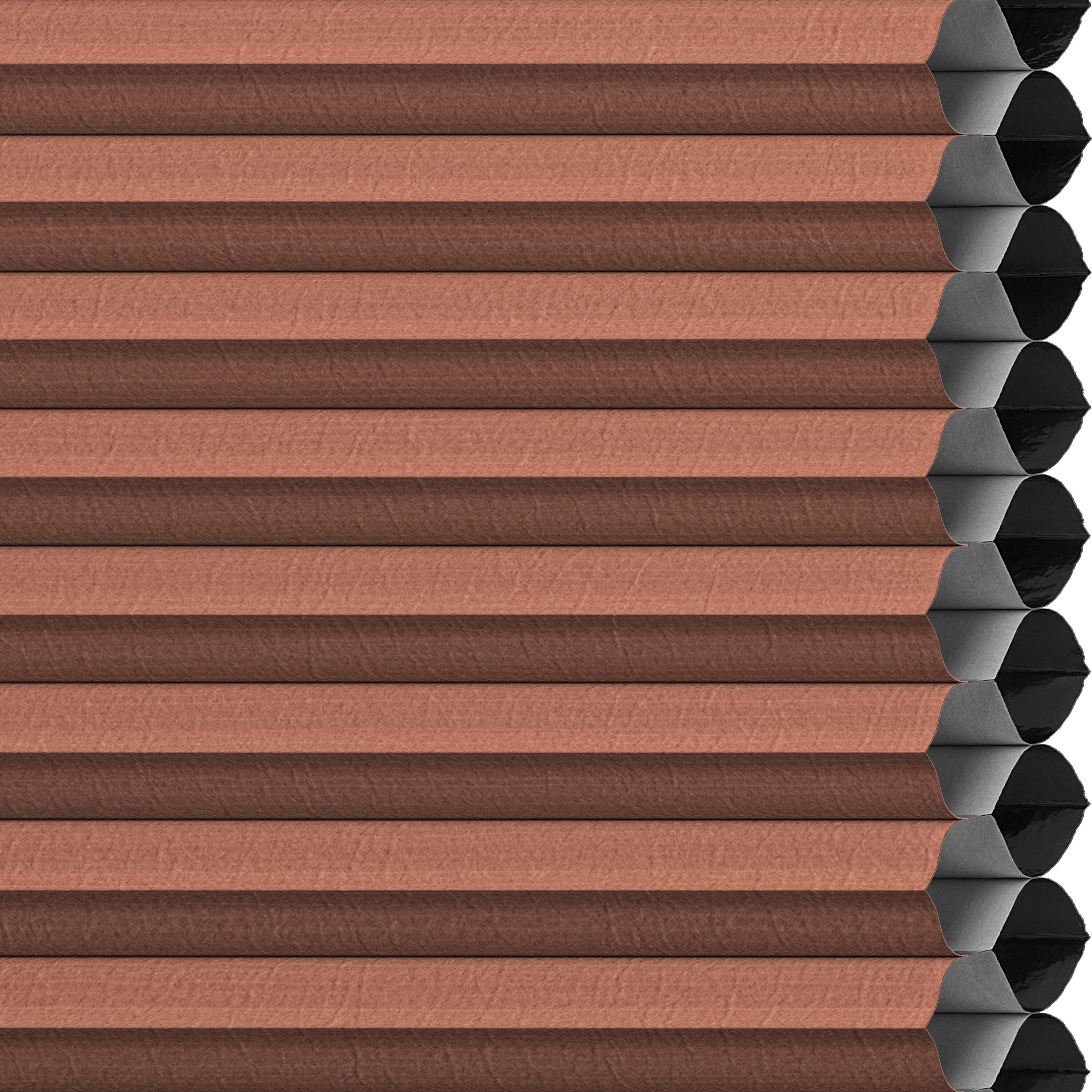 LEVOLOR Designer Colors Cinnamon Blackout Polyester Single Cellular ...