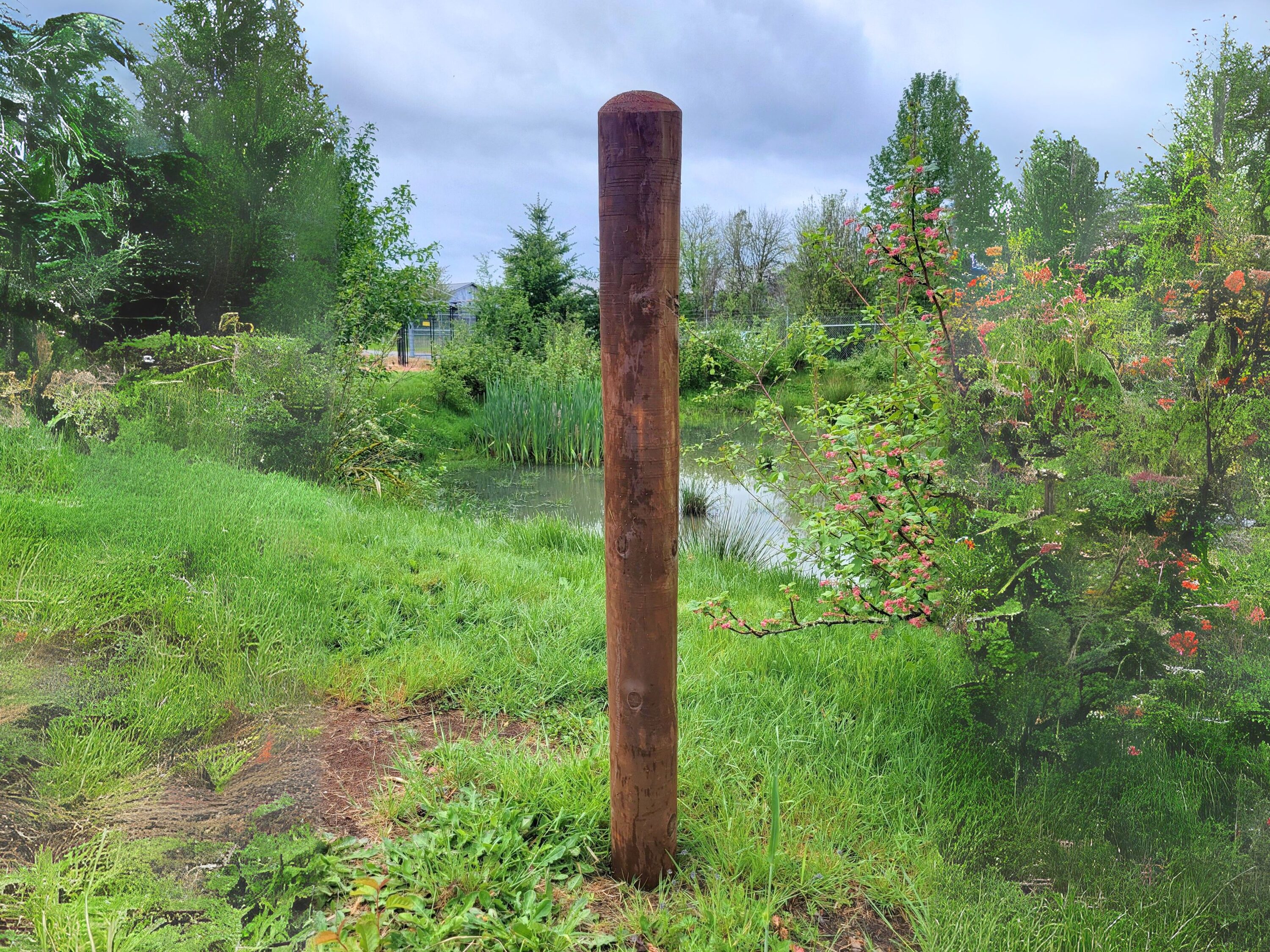 4-in x 8-ft Pressure Treated Hem-fir Round Blank Wood Fence Post in the ...