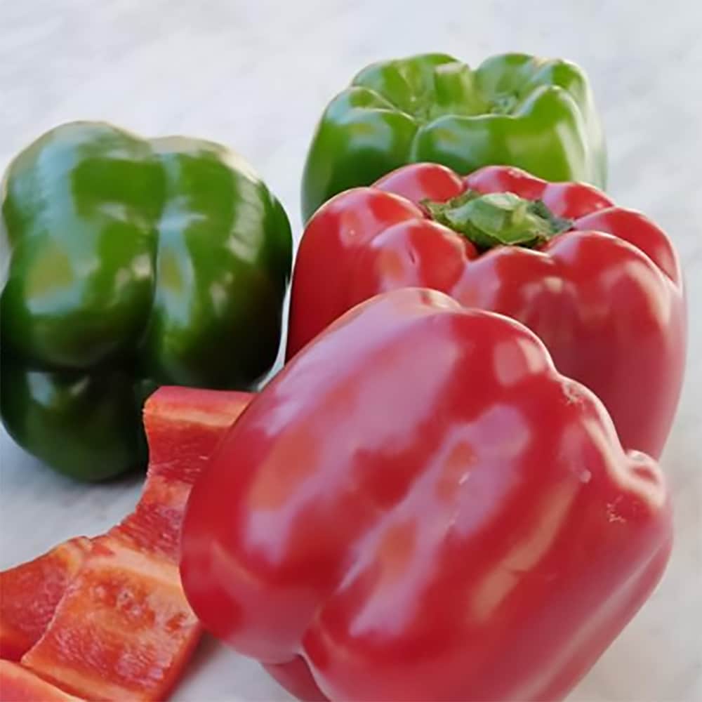 Ferry-Morse 1.31 Quarts Pepper Plant 1 -Pack in the Vegetable Plants ...