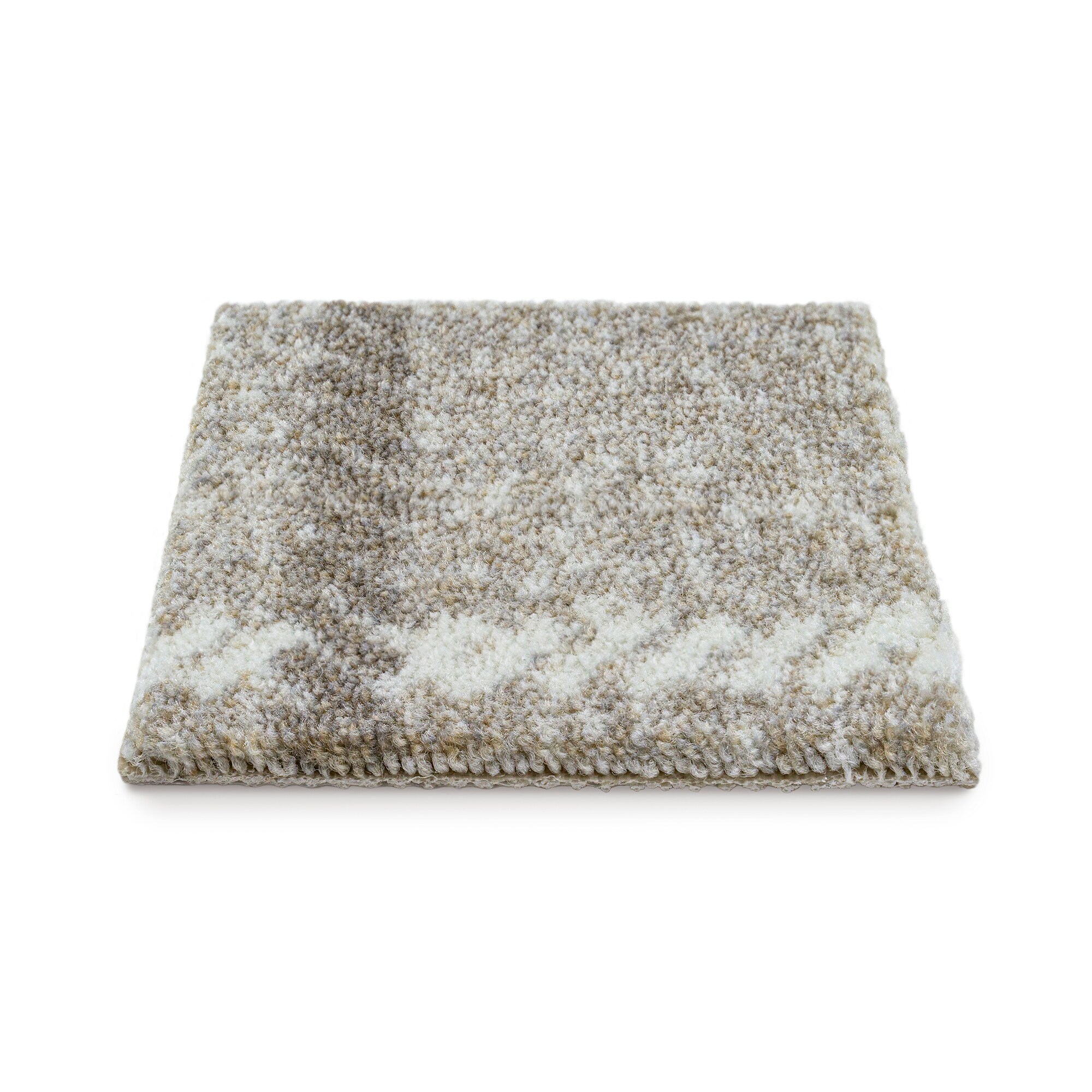 Joy Carpets Home and Office New Haven Beige Brown 26-oz sq yard Nylon ...