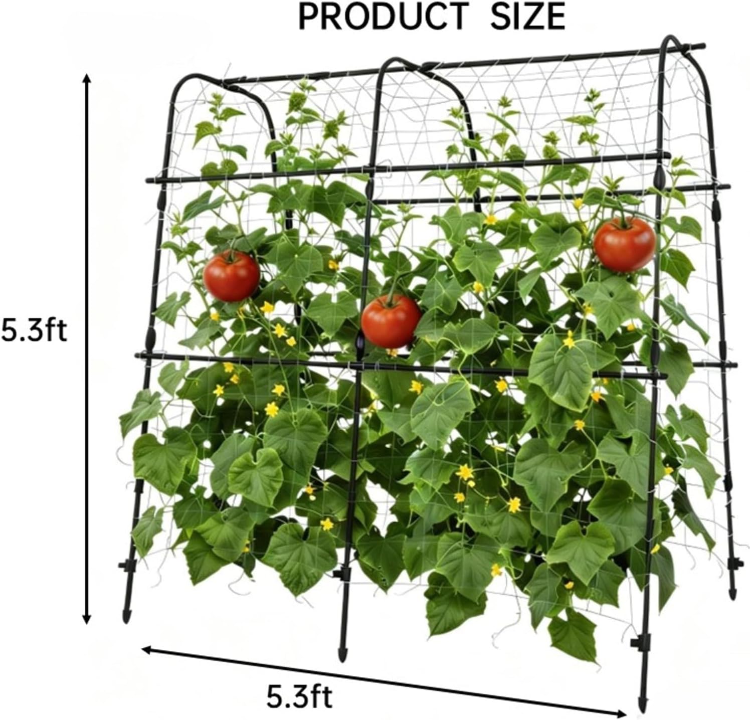 GAOMON 160x160cm PE Plant Support Stake Trellis with Small Flower Pot ...