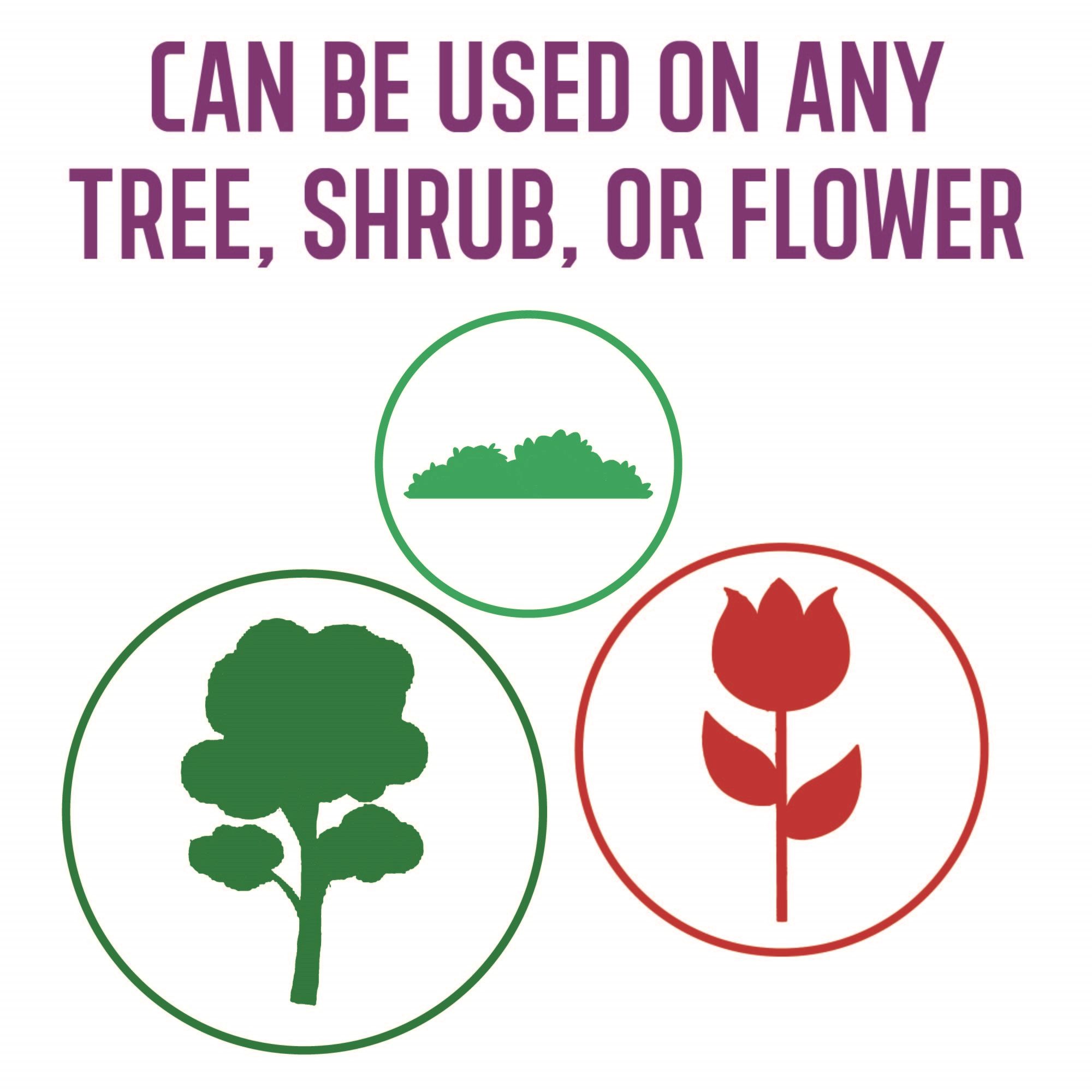 Pro TRUST Plant Trust Professional Tree and Shrub 21-5-12 Fertilizer ...