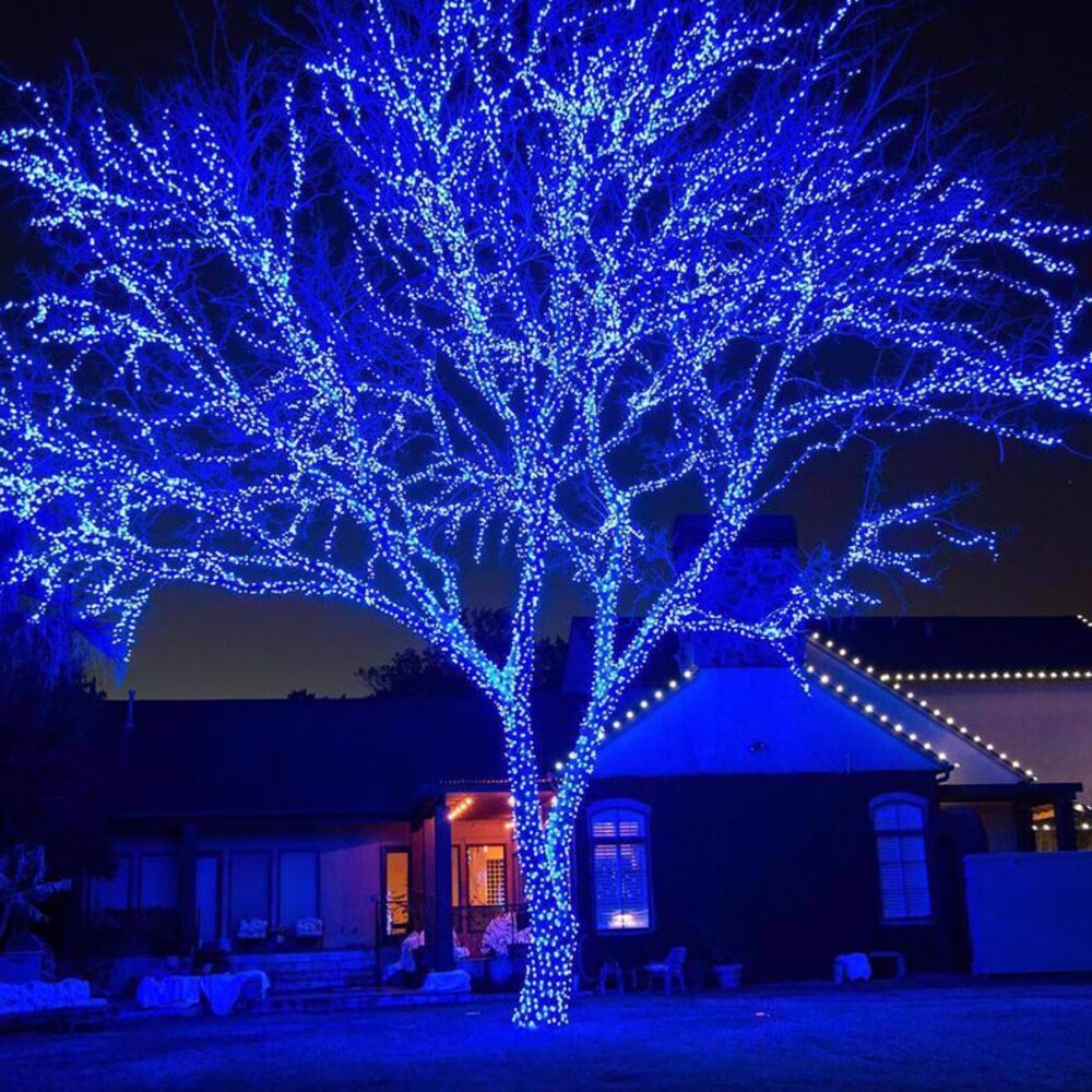 Celebrations Platinum LED T5 Blue 50 ct String Christmas Lights 25 ft ...