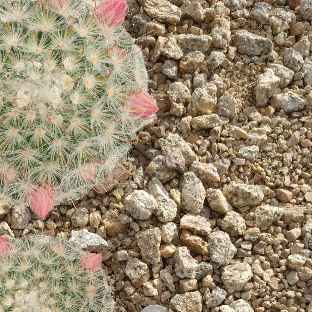 Hopper 1 Cubic Yard Madison Gold Rock at Lowes.com