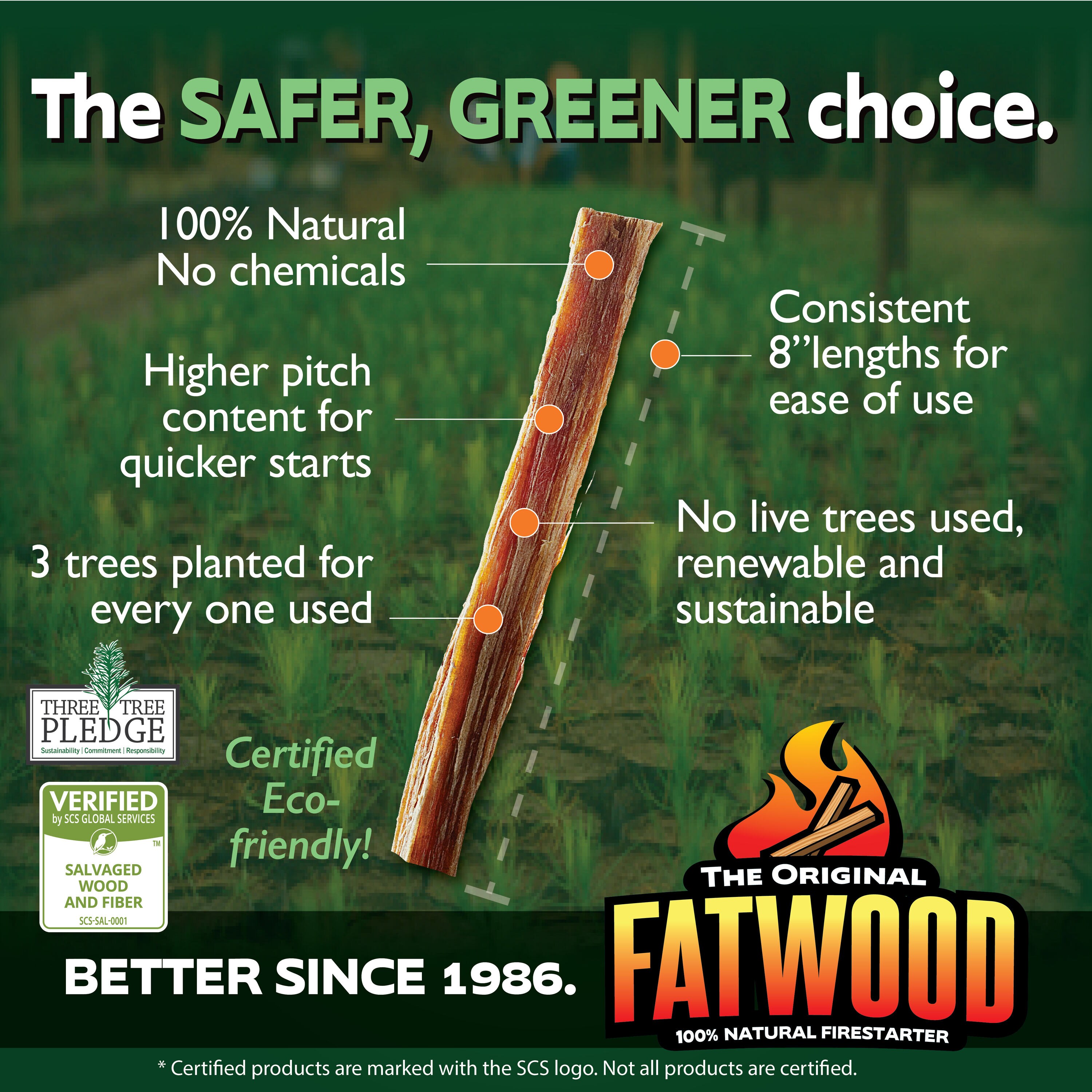 BetterWood Products Better Wood Products Protect the Parks Fatwood Firestarter Sticks Grand ...